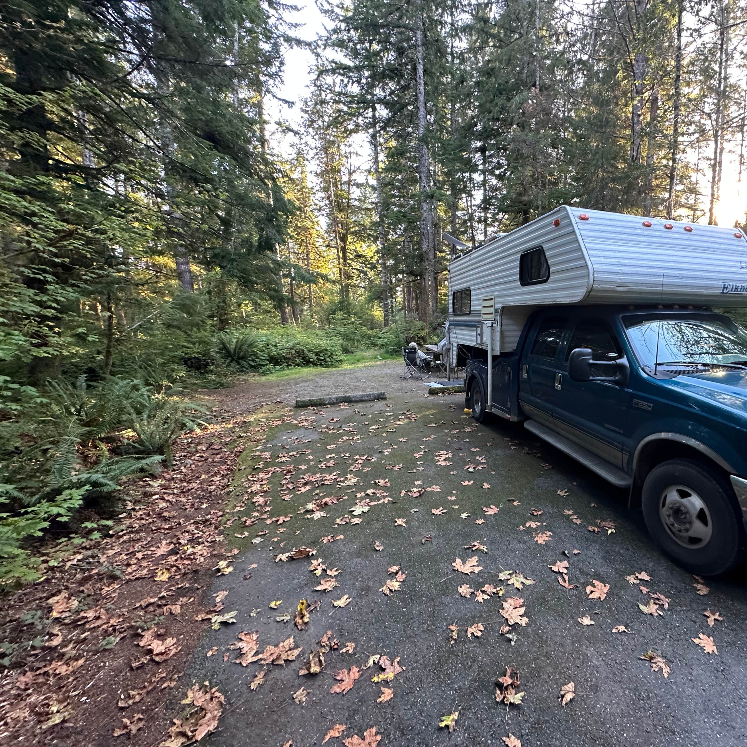 Coho Campground | Quinault, Washington