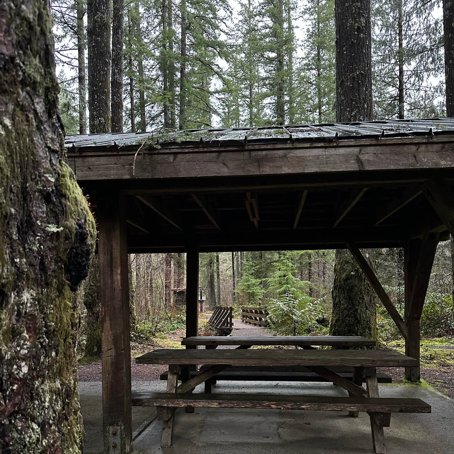 Cold Creek Campground | Snoqualmie Pass, Washington