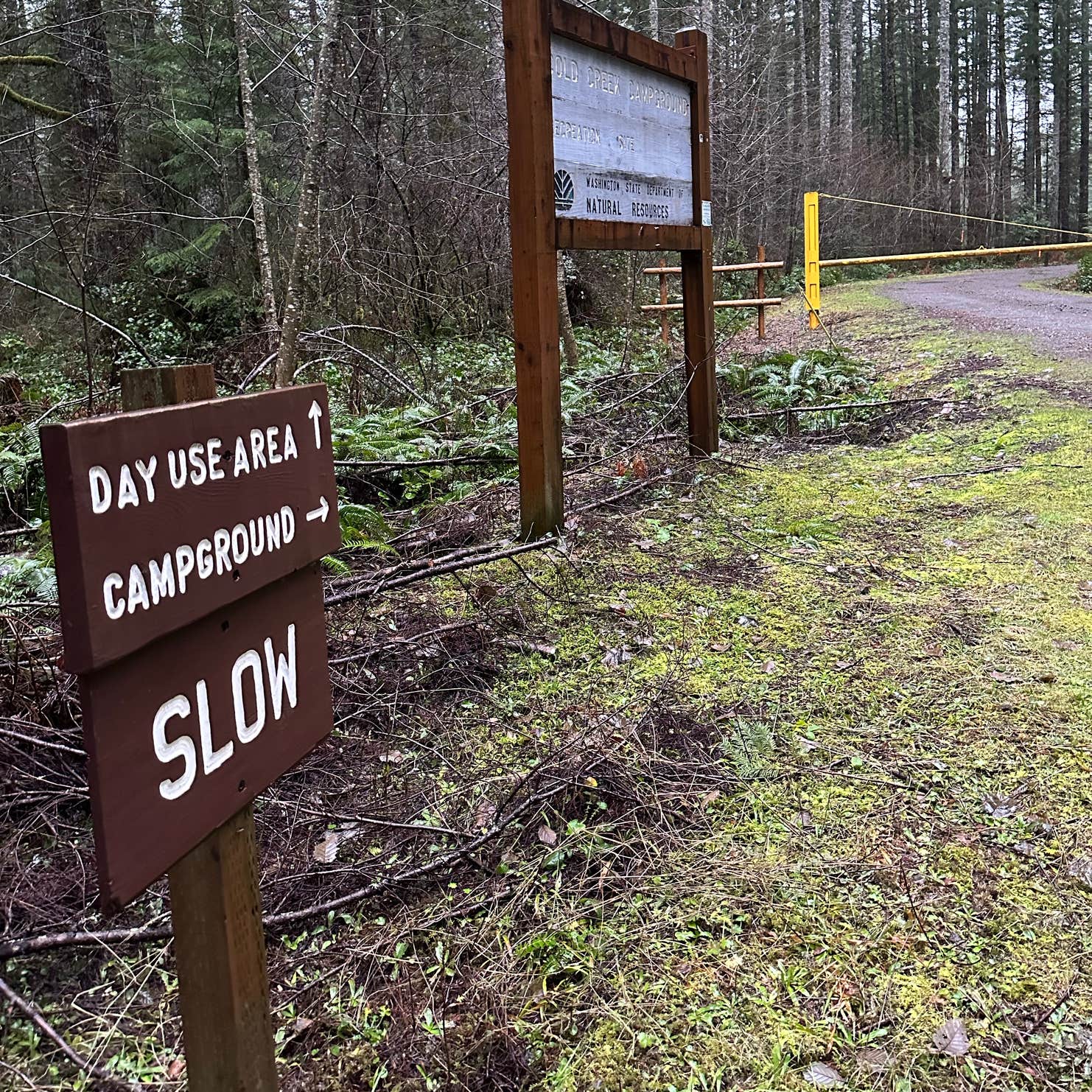Cold Creek Campground | Snoqualmie Pass, Washington