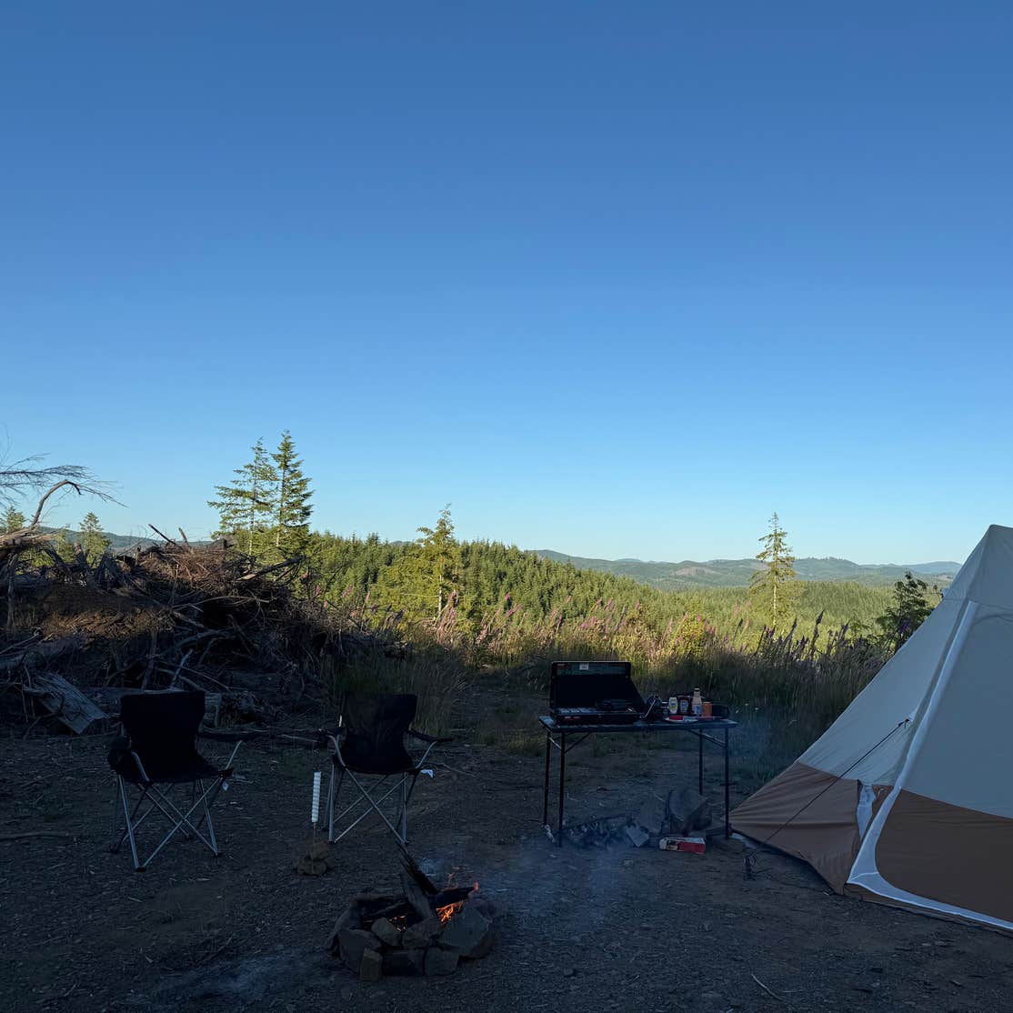 Cole Mt Ridge Camping | Tolovana Park, Oregon