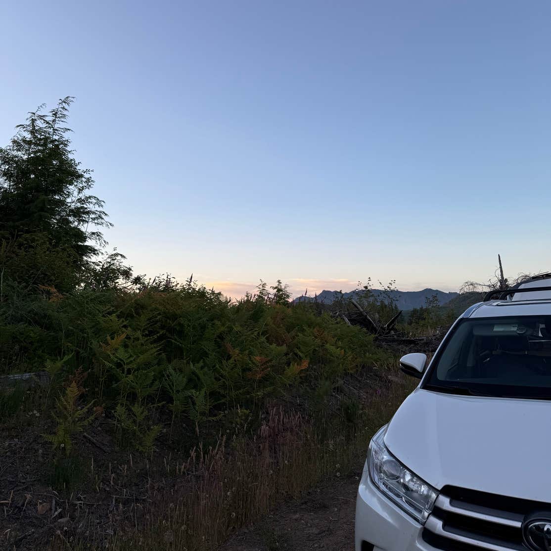 Cole Mt Ridge Camping | Tolovana Park, Oregon