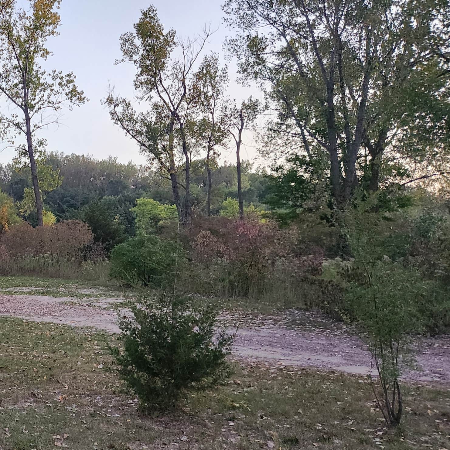 Colfax Quarry Springs Park Camping | Mingo, Iowa