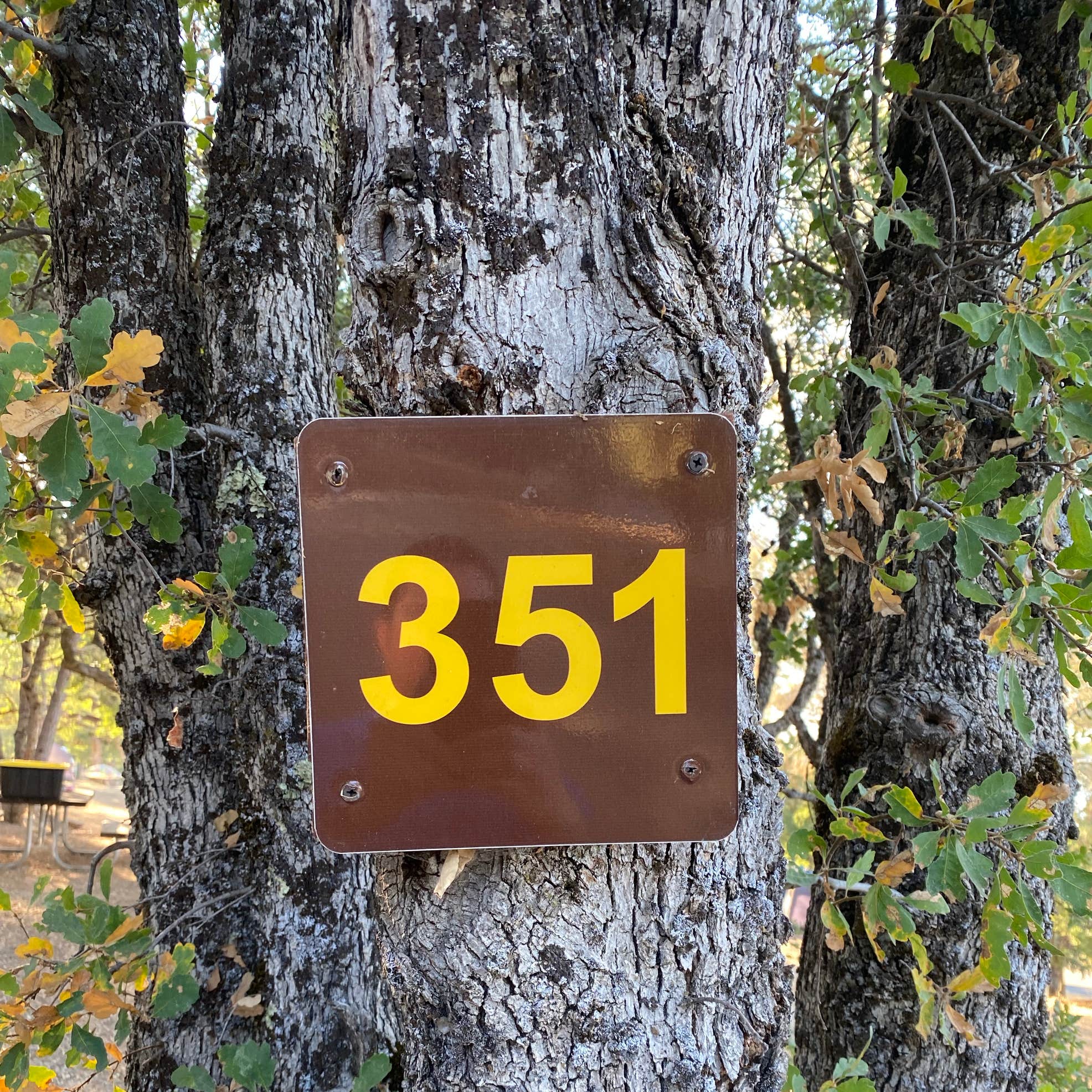 Collins Lake Recreation Area Camping | Oregon House, California