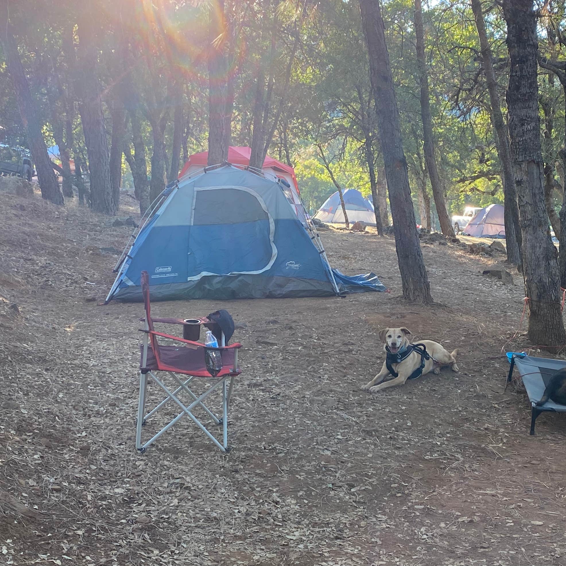 Collins Lake Recreation Area Camping | Oregon House, California