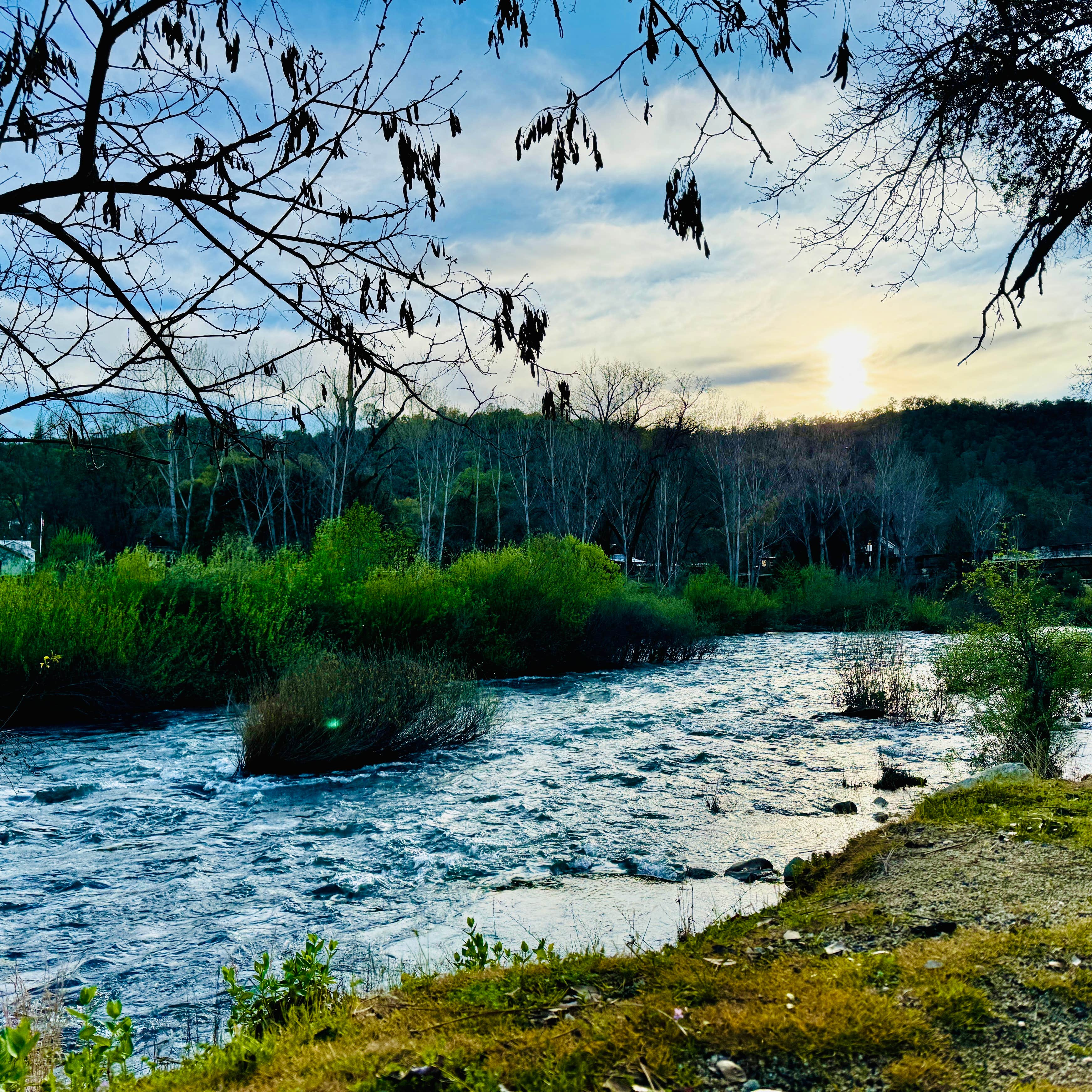 Coloma Resort Camping | Coloma, California