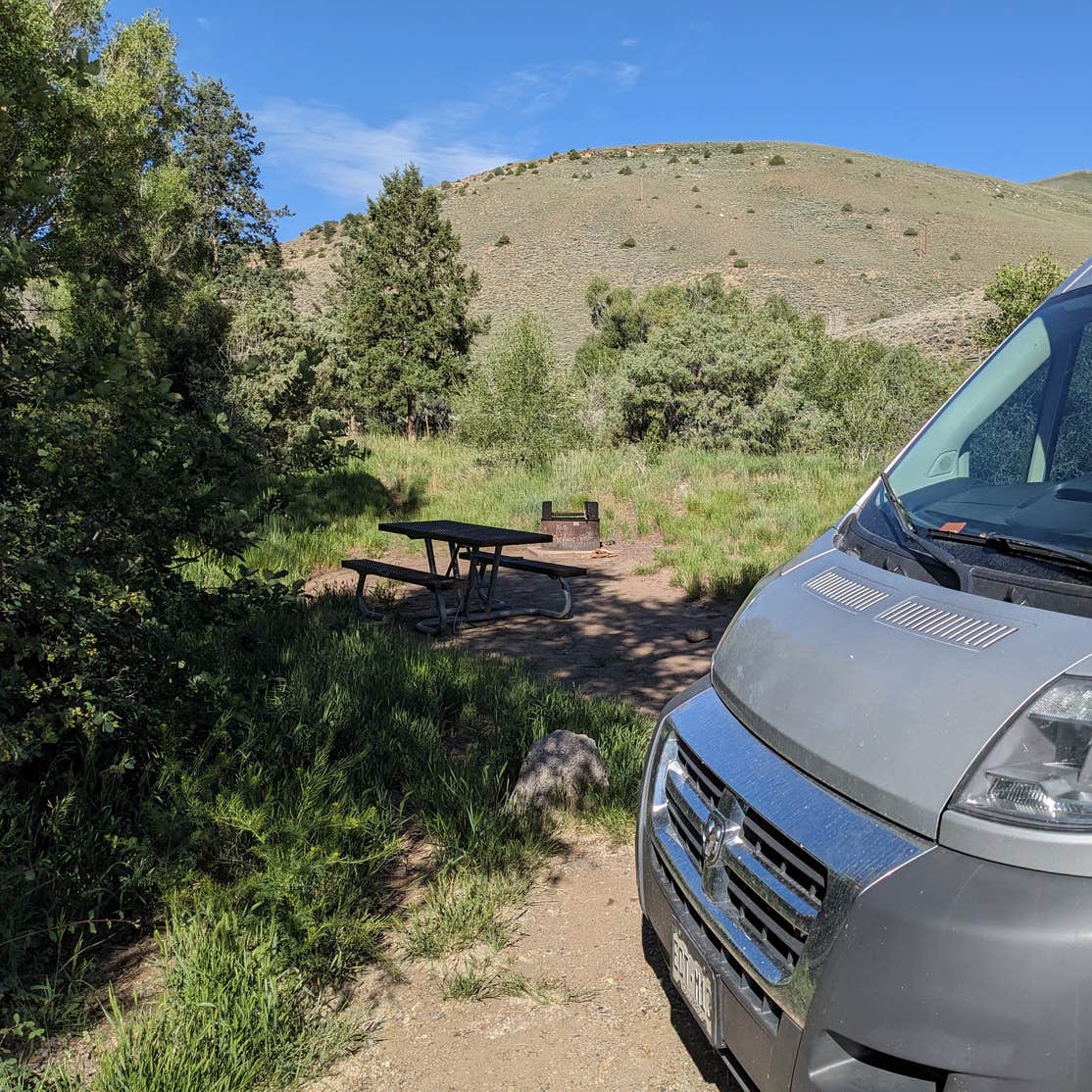 BLM Almont Campground | Almont, Colorado