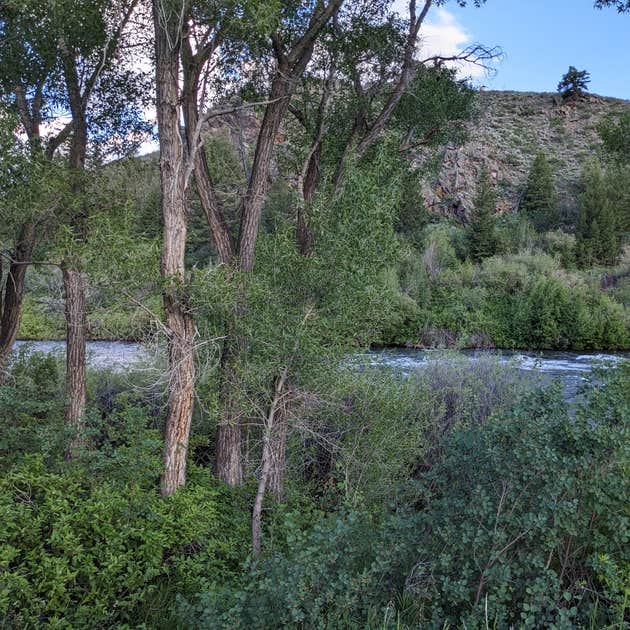 BLM Almont Campground | Almont, CO