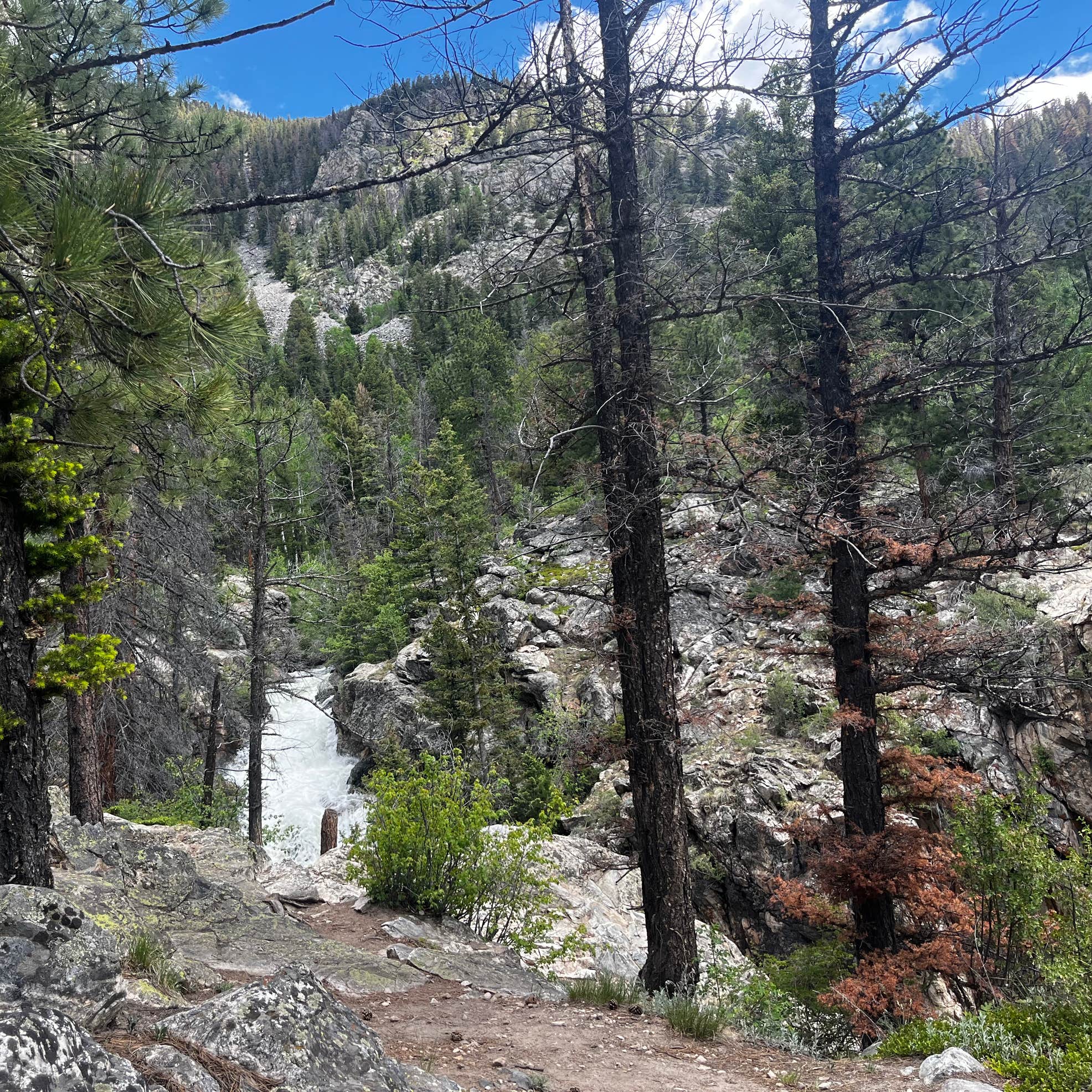 Angel Of Shavano Group — Psicc Camping | Monarch, Colorado