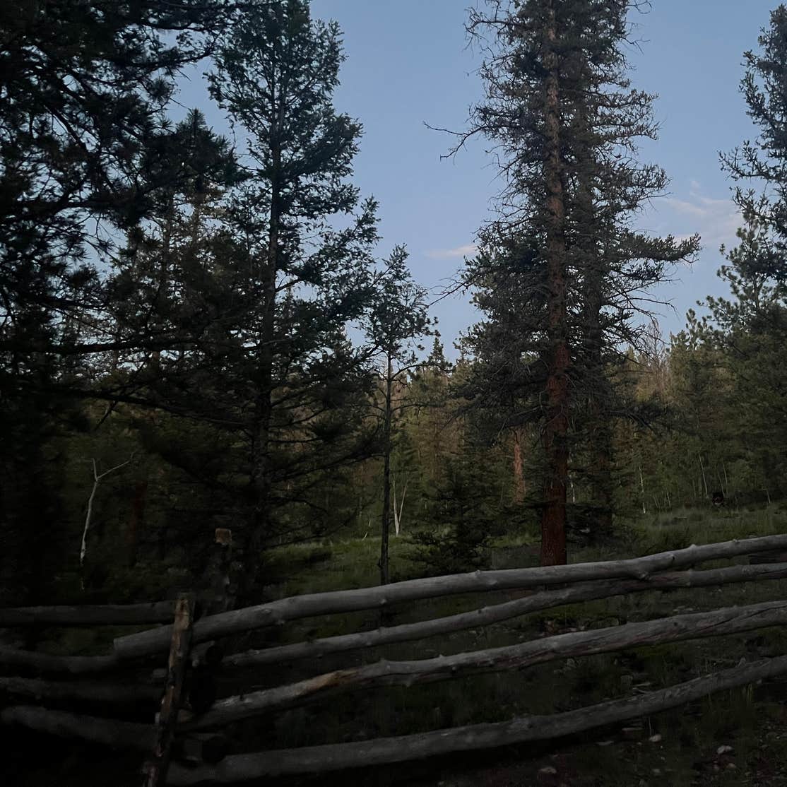 Buffalo Pass Campground | Sargents, Colorado