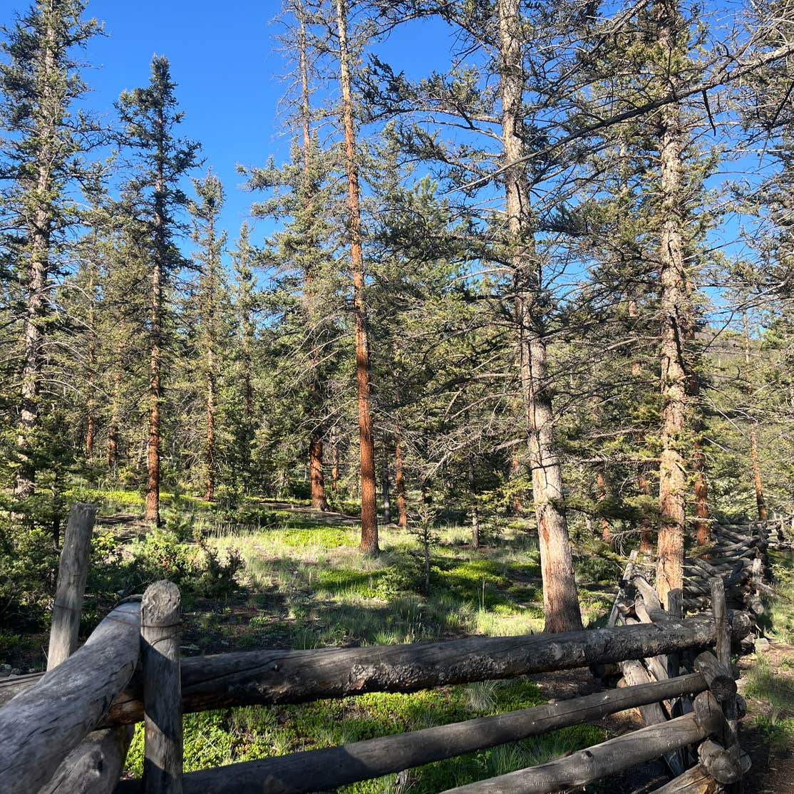 Buffalo Pass Campground | Sargents, Colorado
