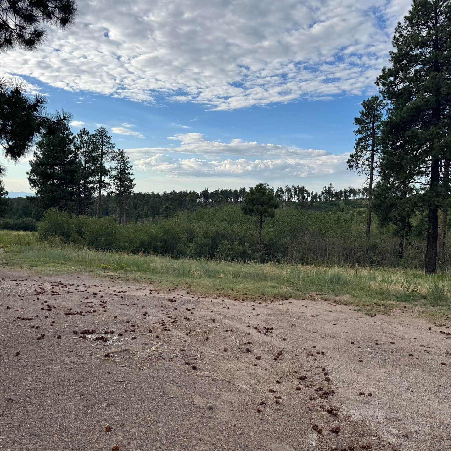 Crosho Lake Recreation Area Camping | Yampa, Colorado