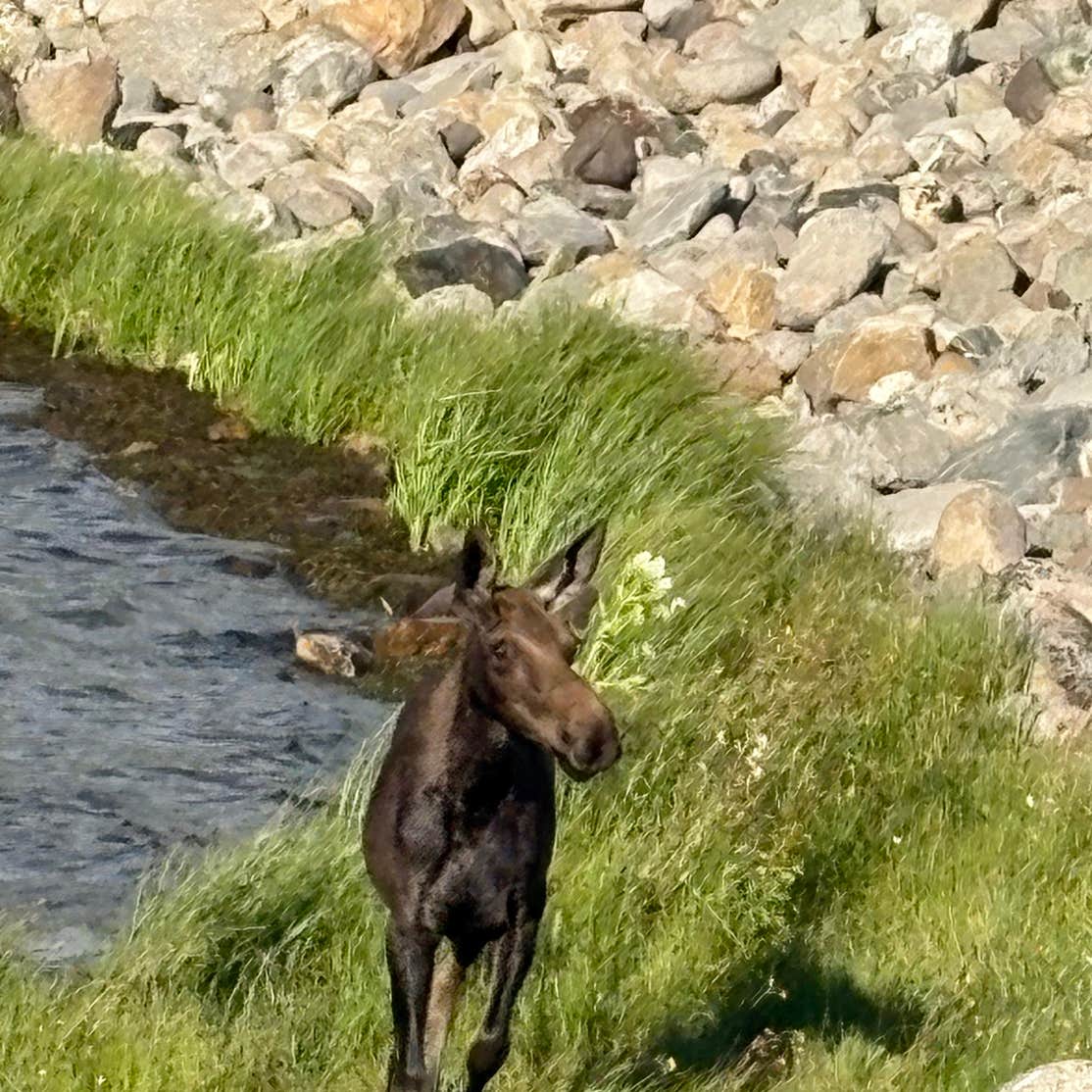 Green Ridge Campground | Grand Lake, Colorado