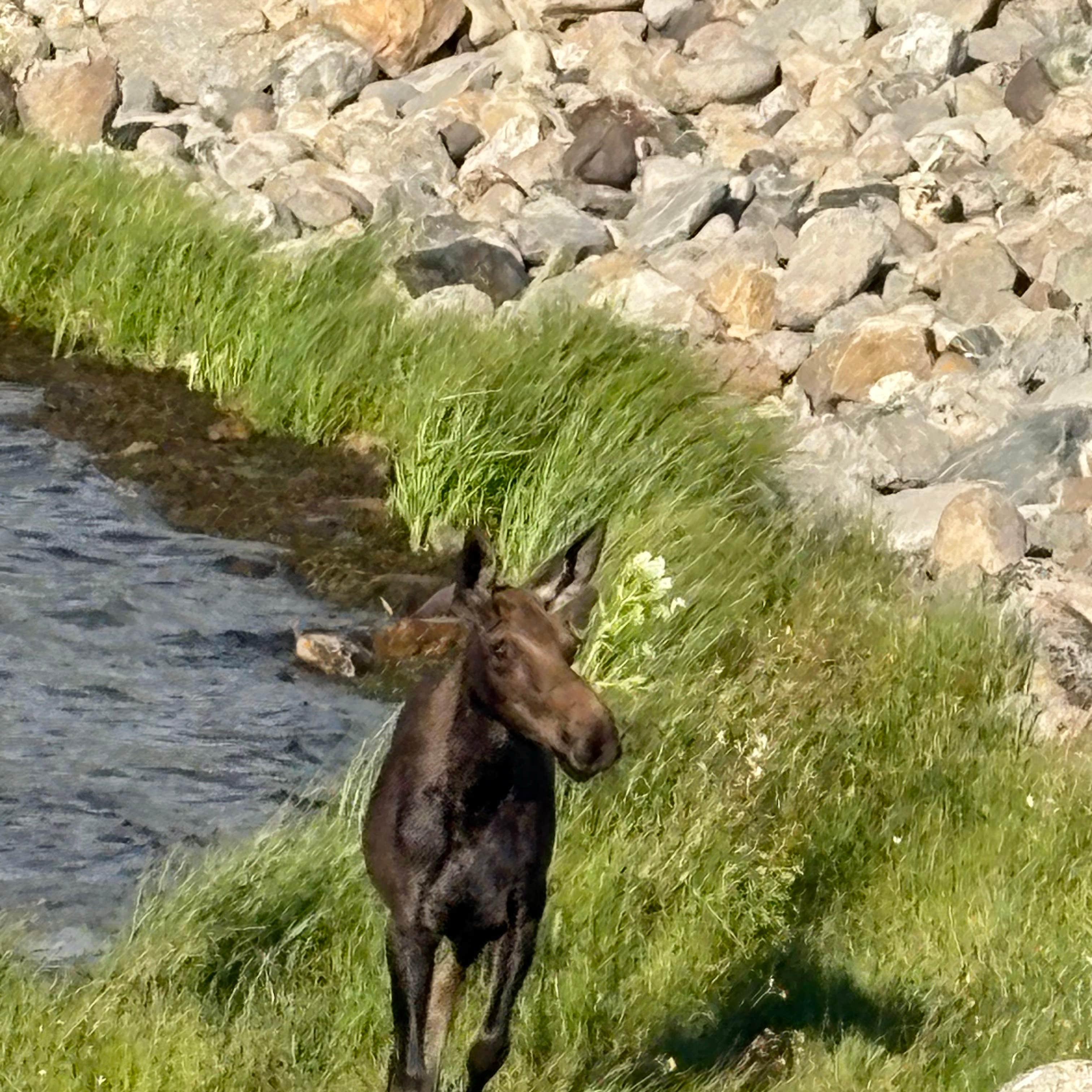 Green Ridge Campground | Grand Lake, Colorado