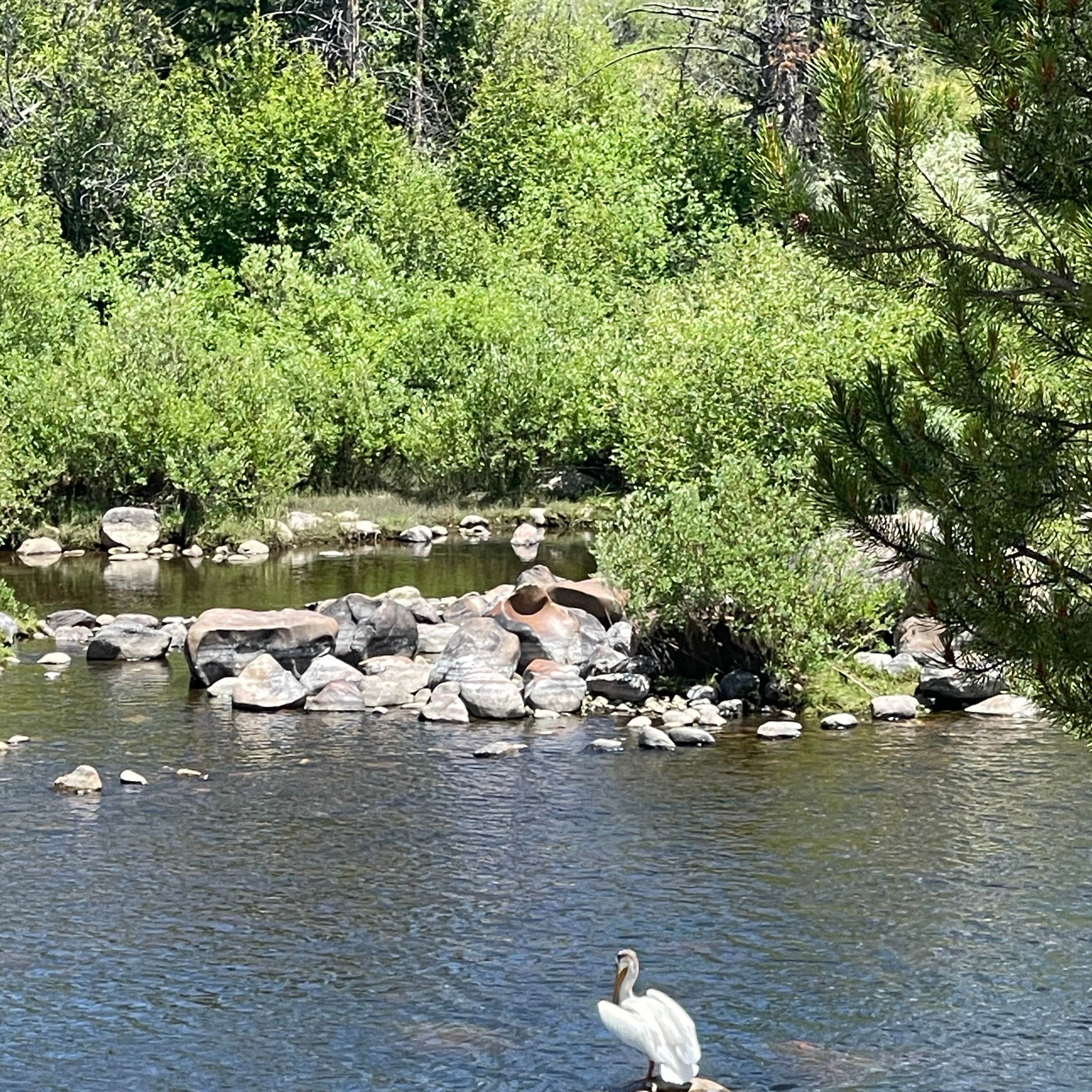 Green Ridge Campground | Grand Lake, Colorado