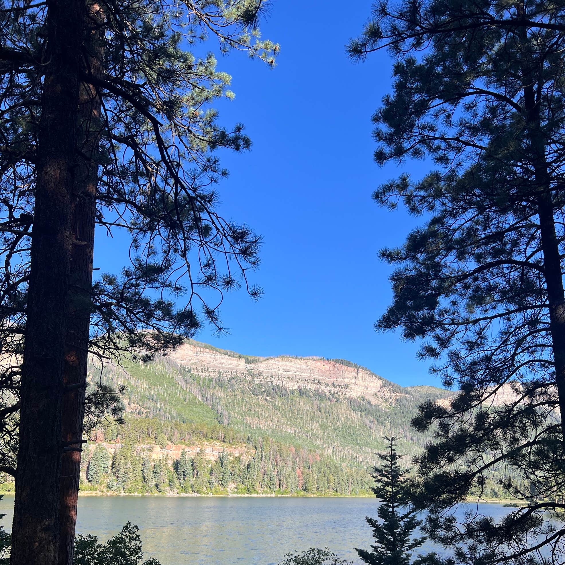 Haviland Lake Campground | Cascade, Colorado