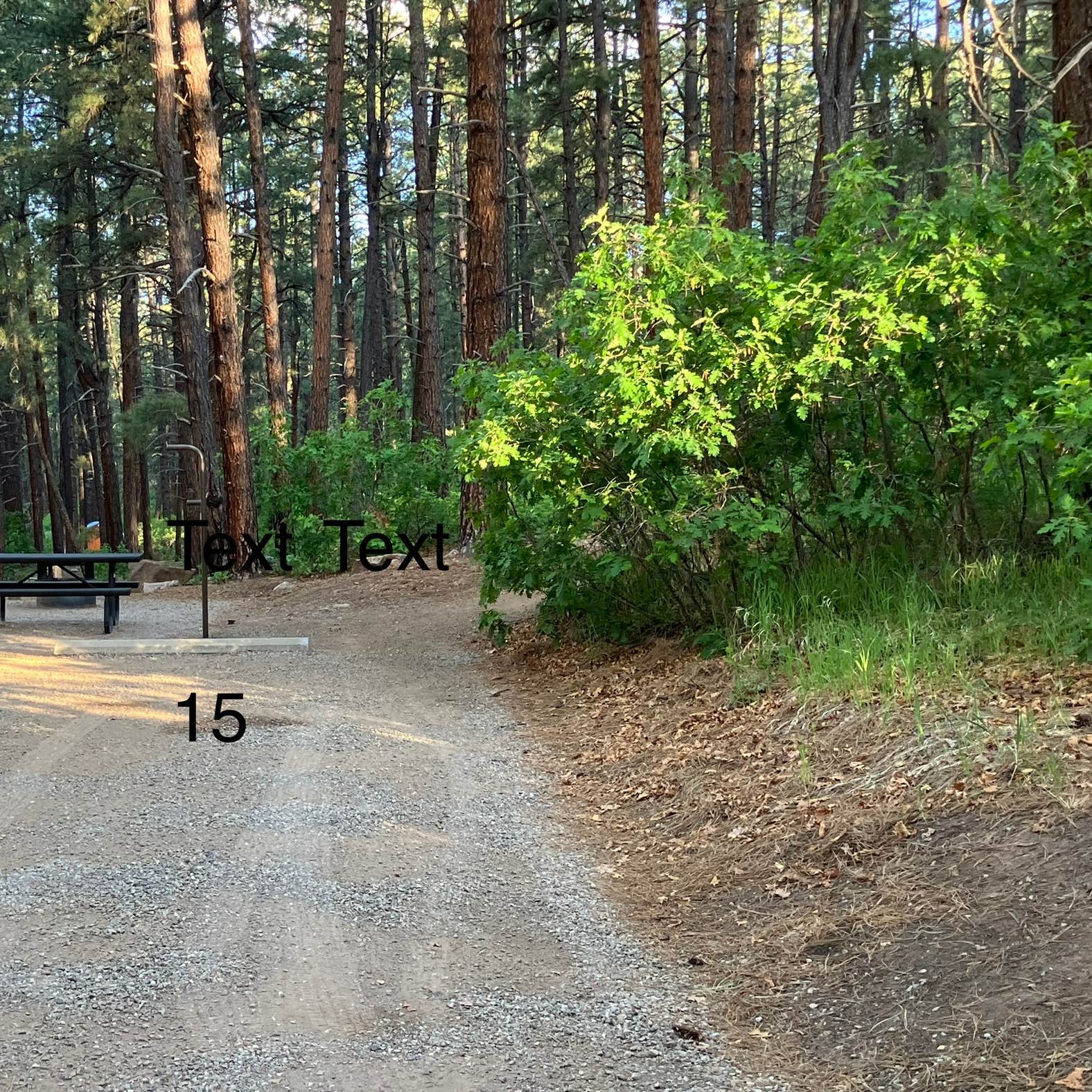 Junction Creek Campground | Durango, CO