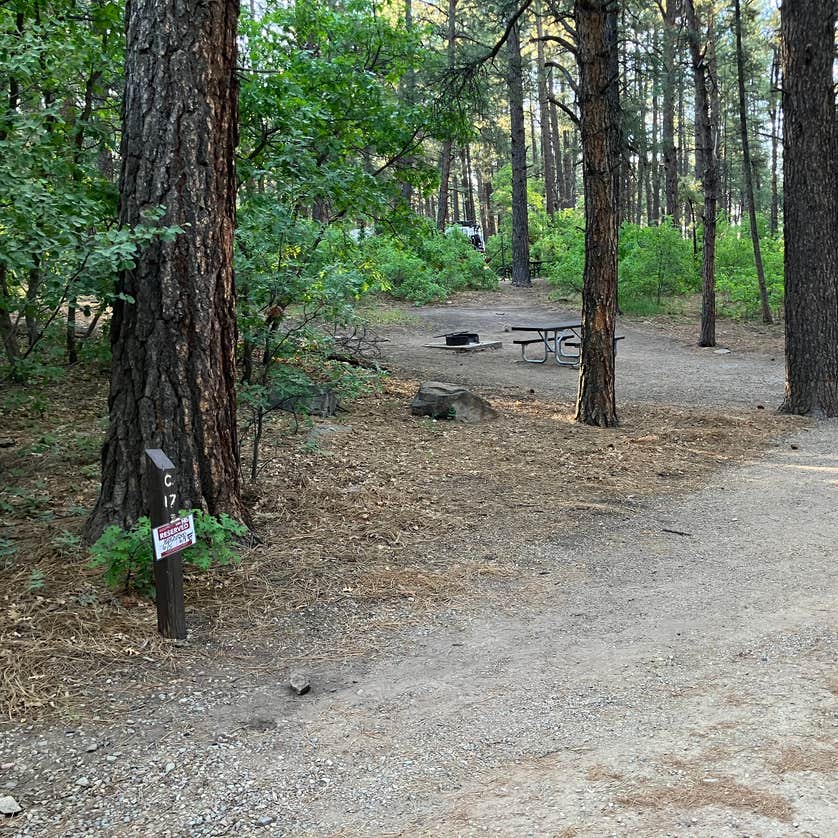 Junction Creek Campground | Durango, CO