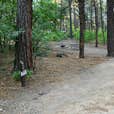 Junction Creek Campground | Purgatory, Colorado