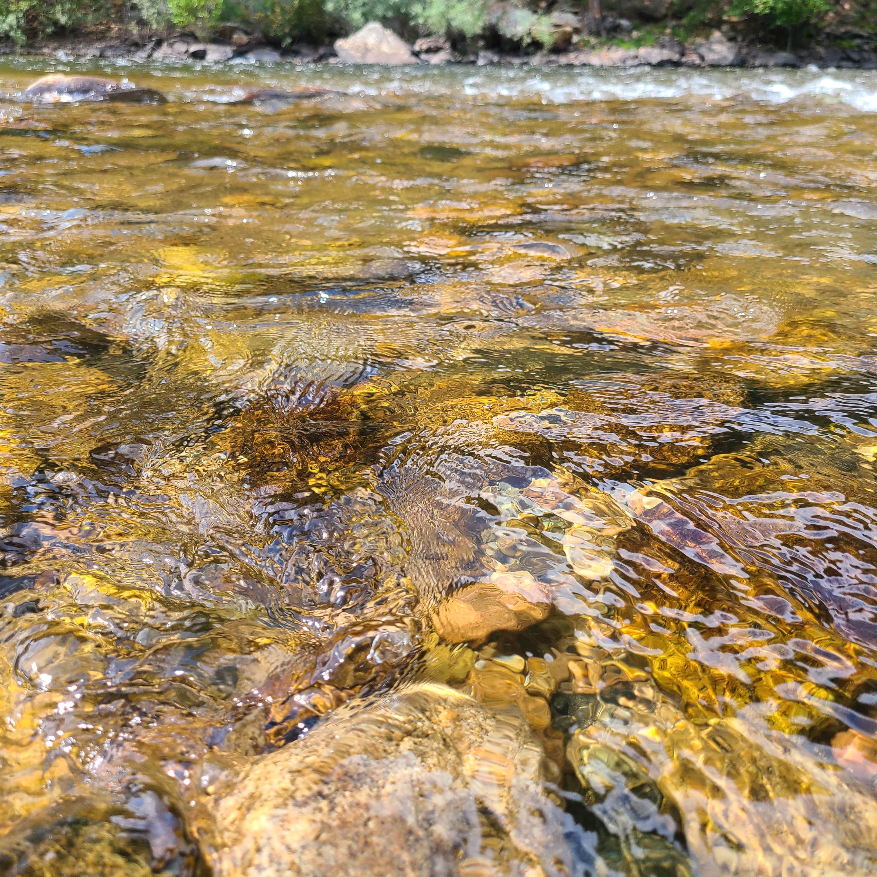 Kelly Flats Campground | Red Feather Lakes, Colorado