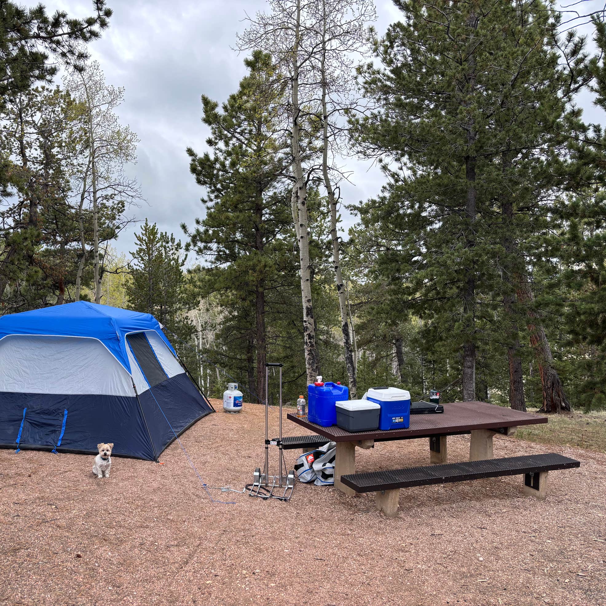 Mueller State Park Campground | Divide, Colorado