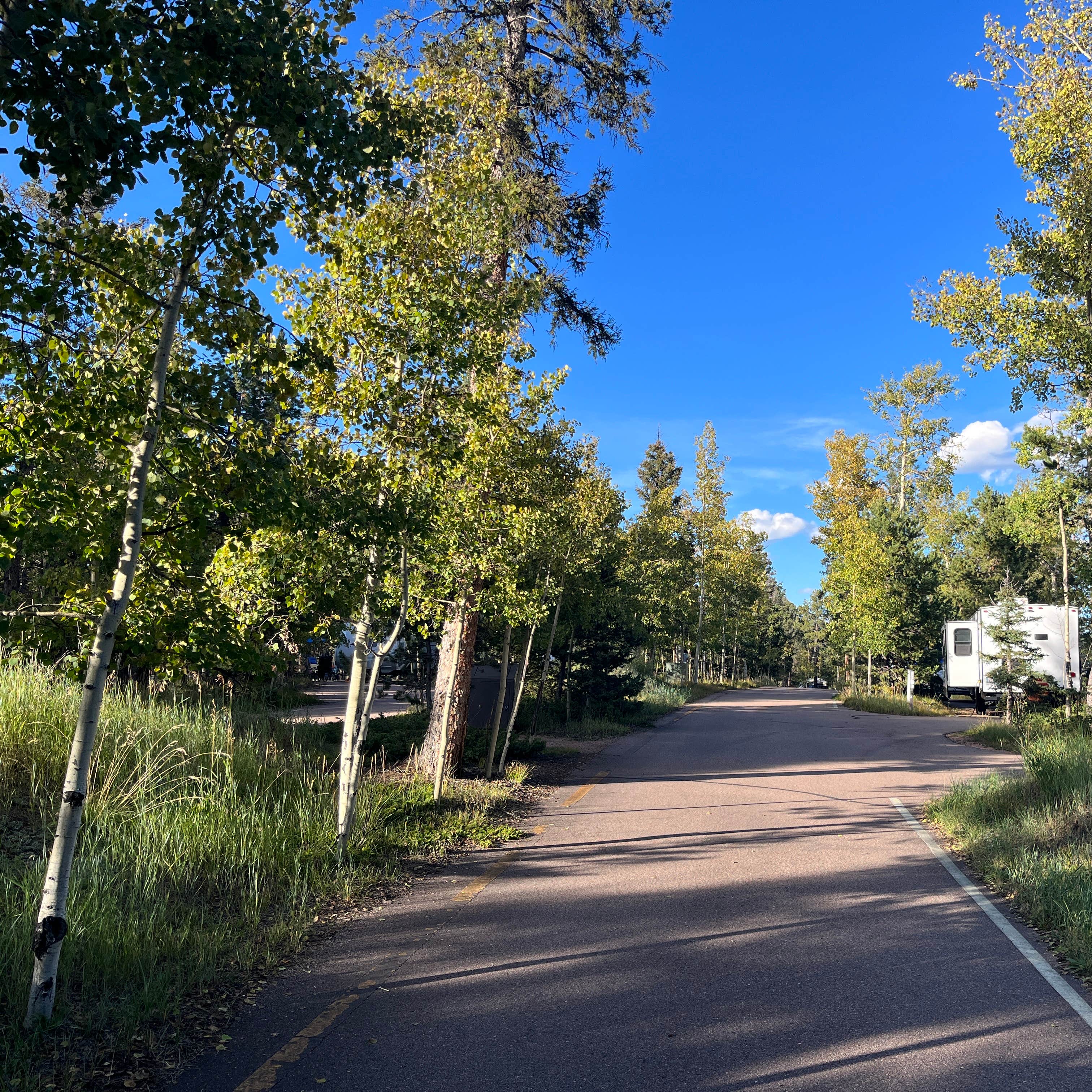 Mueller State Park Campground | Divide, Colorado