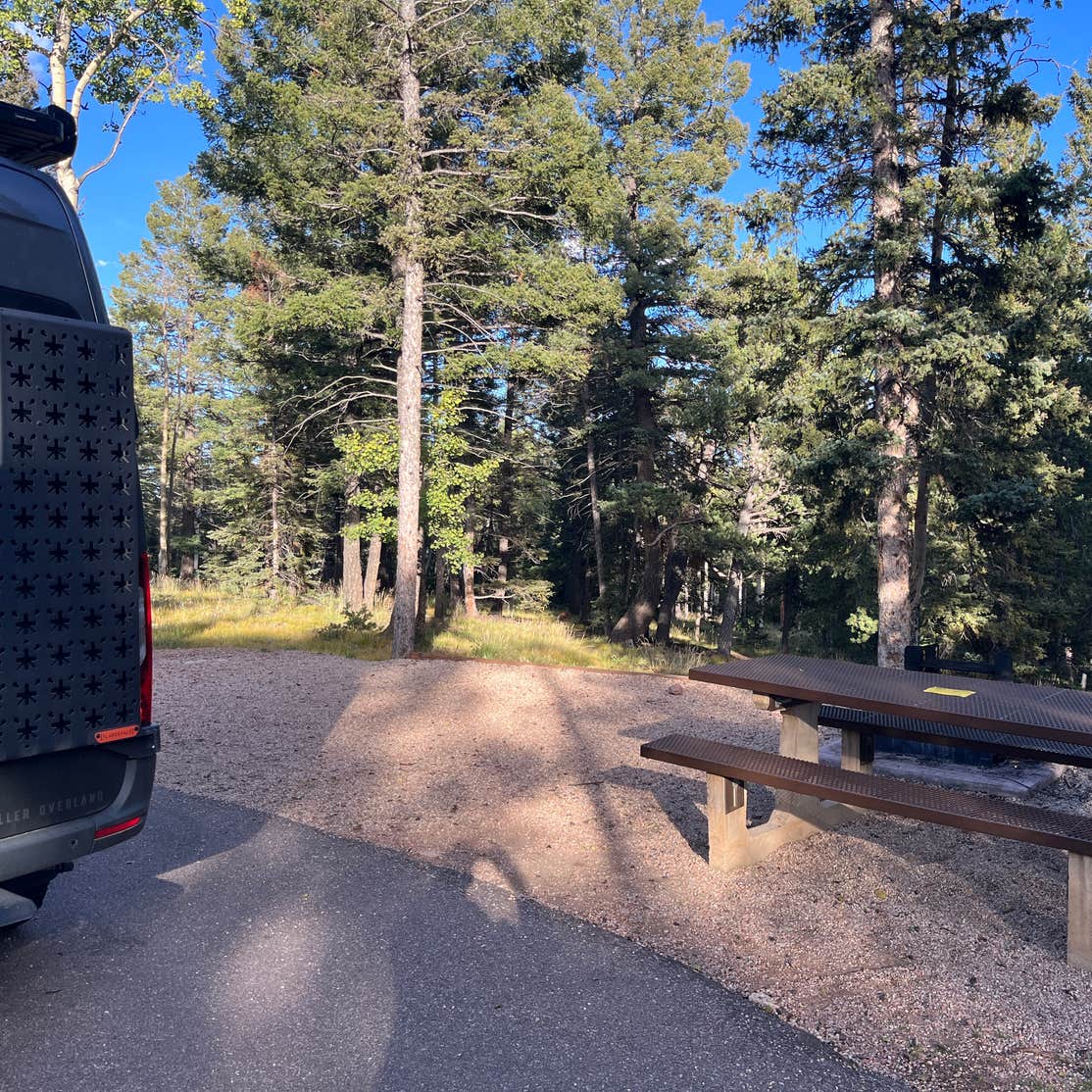 Mueller State Park Campground | Divide, CO