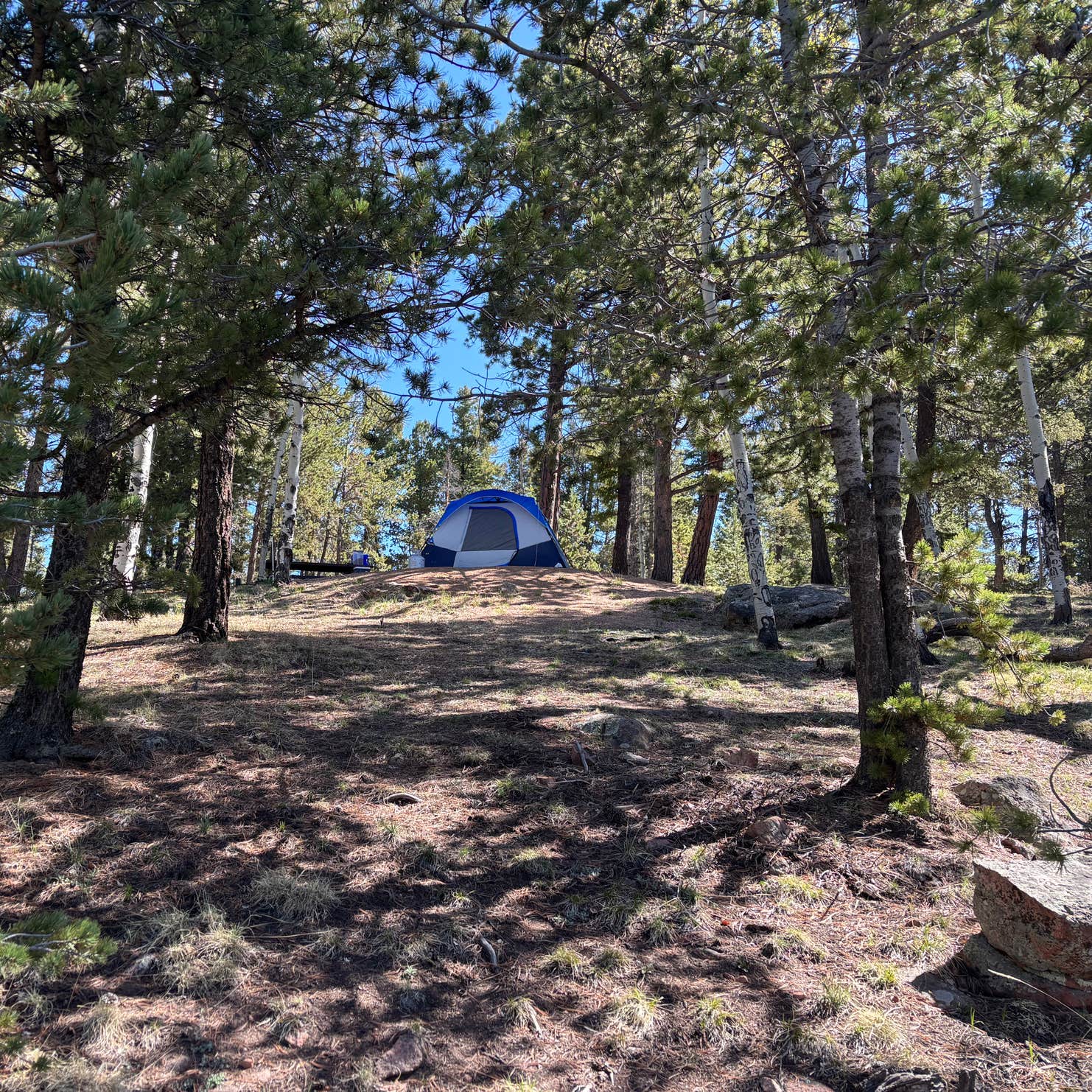 Mueller State Park Campground | Divide, Colorado