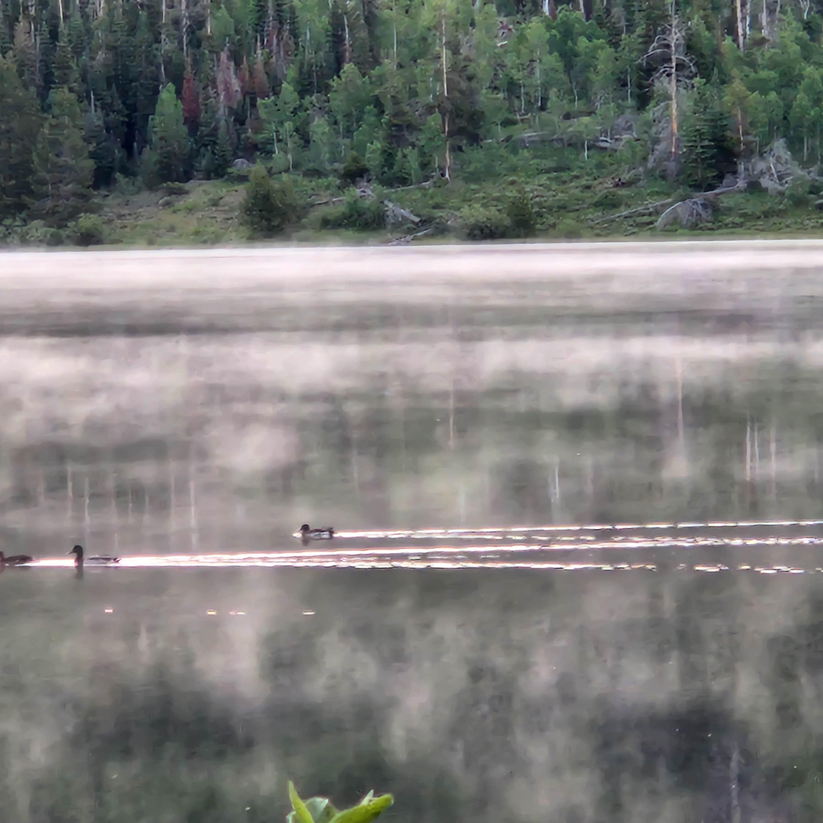 Pearl Lake State Park Campground | Clark, Colorado