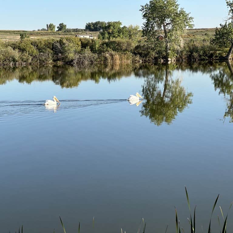 St. Vrain State Park Campground | Longmont, CO