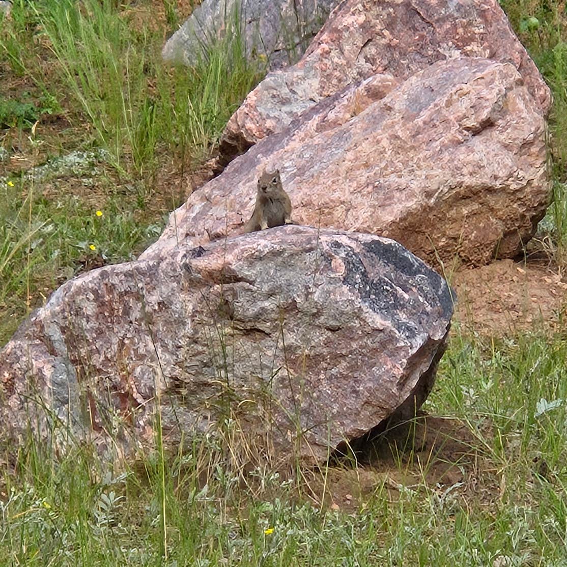 South Meadows Campground | Woodland Park, Colorado