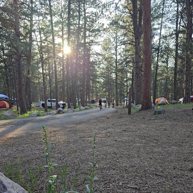 South Meadows Campground | Woodland Park, Colorado