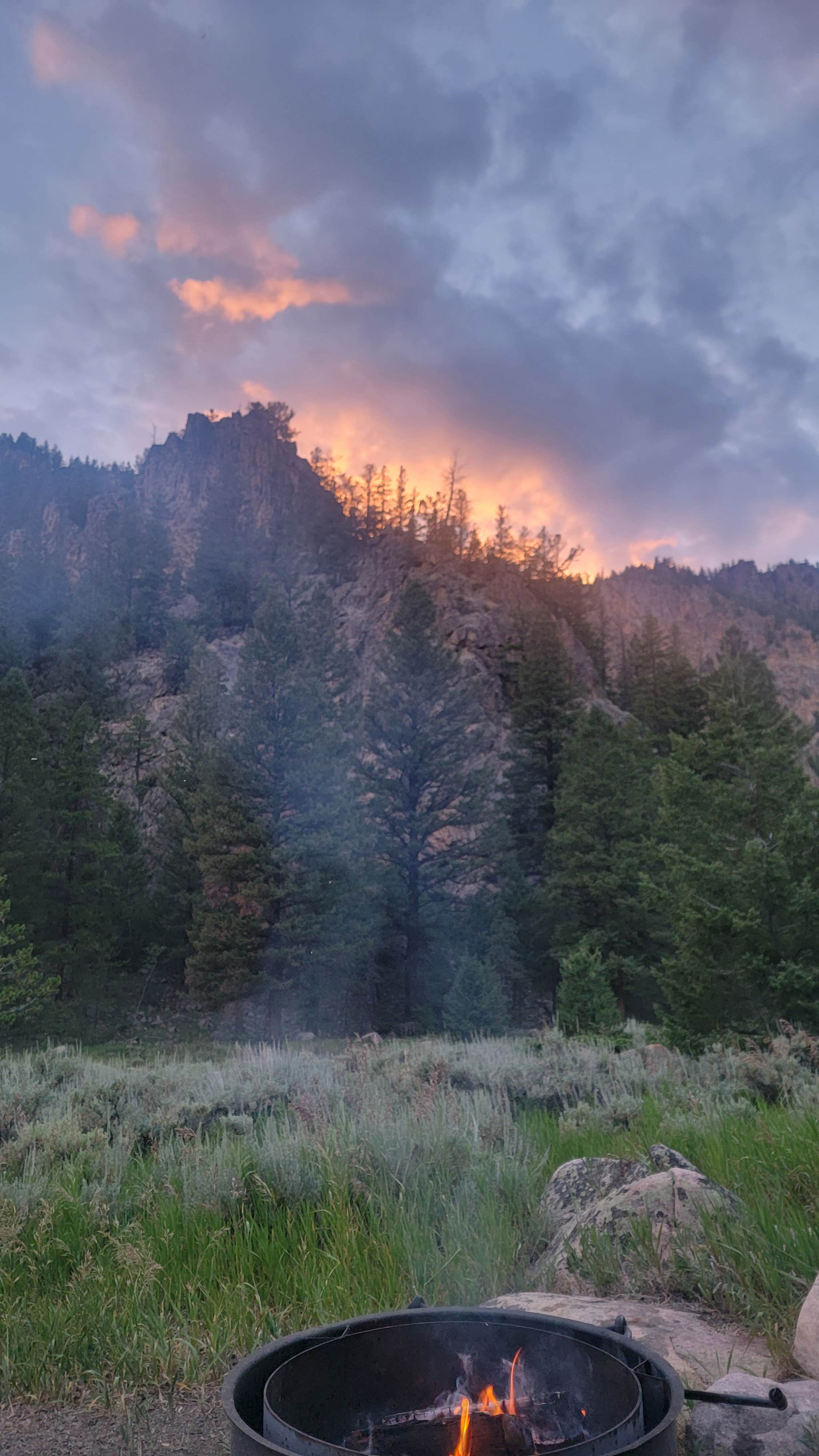 Spring Creek Campground | Gunnison, CO