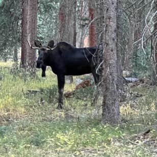 Ranger Lakes Campground — State Forest State Park | Walden, CO