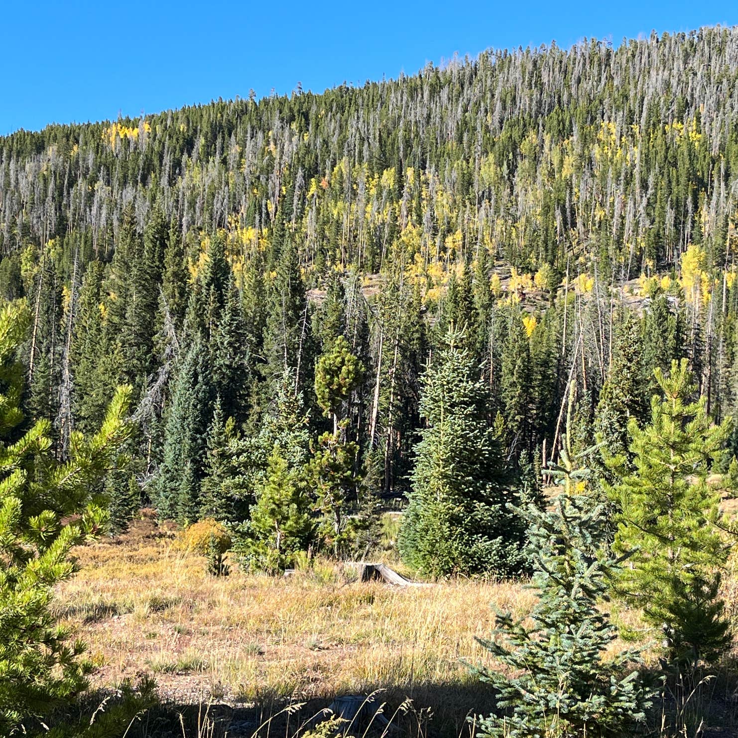 Ranger Lakes Campground — State Forest State Park | Rand, Colorado