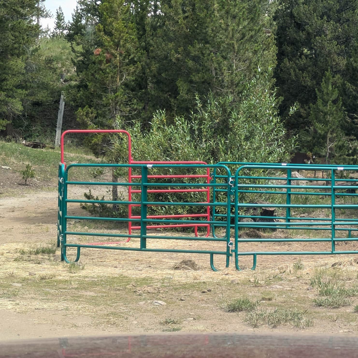 Trappers Lake Horse Thief Equestrian Campground | Yampa, Colorado