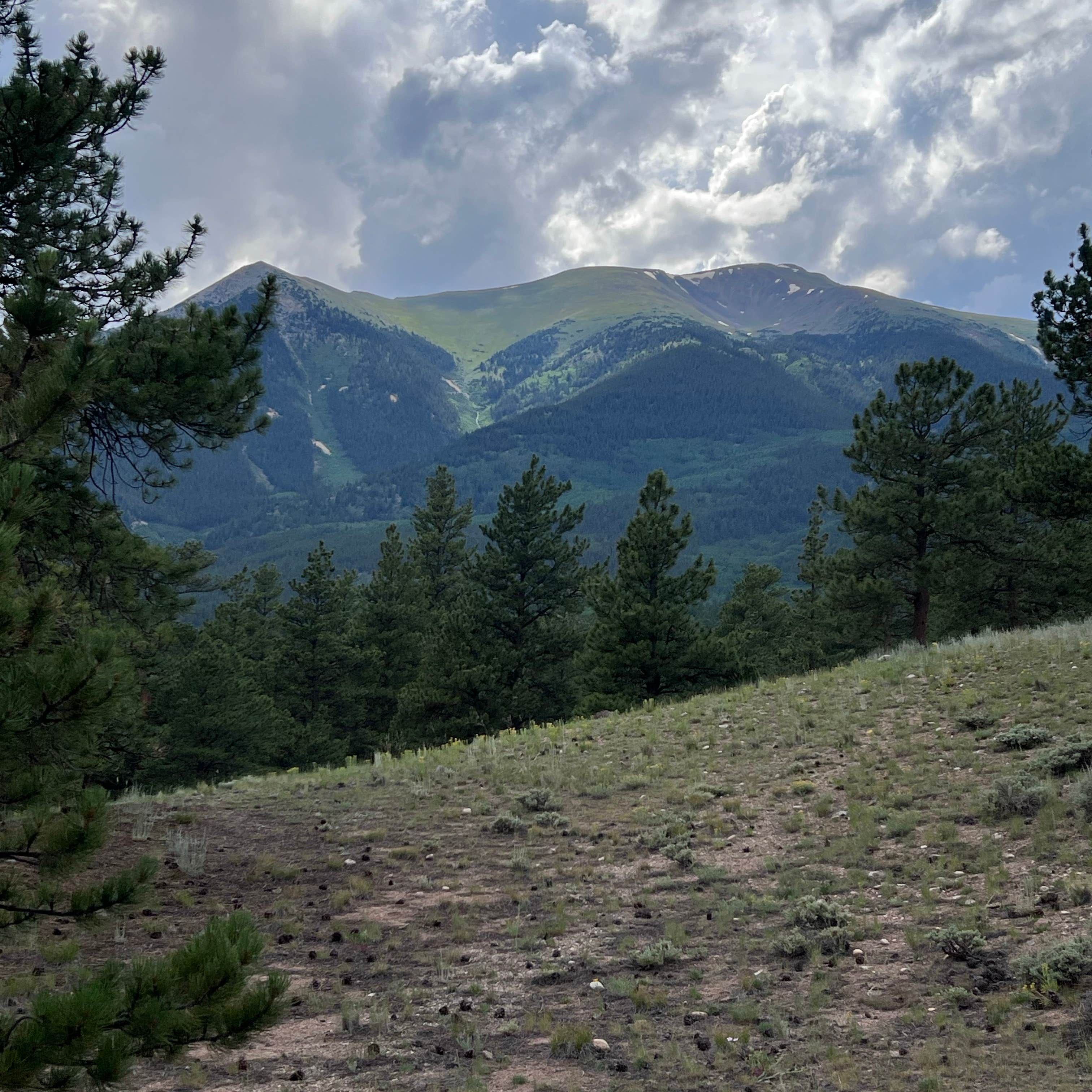 White Star Camping | Granite, Colorado