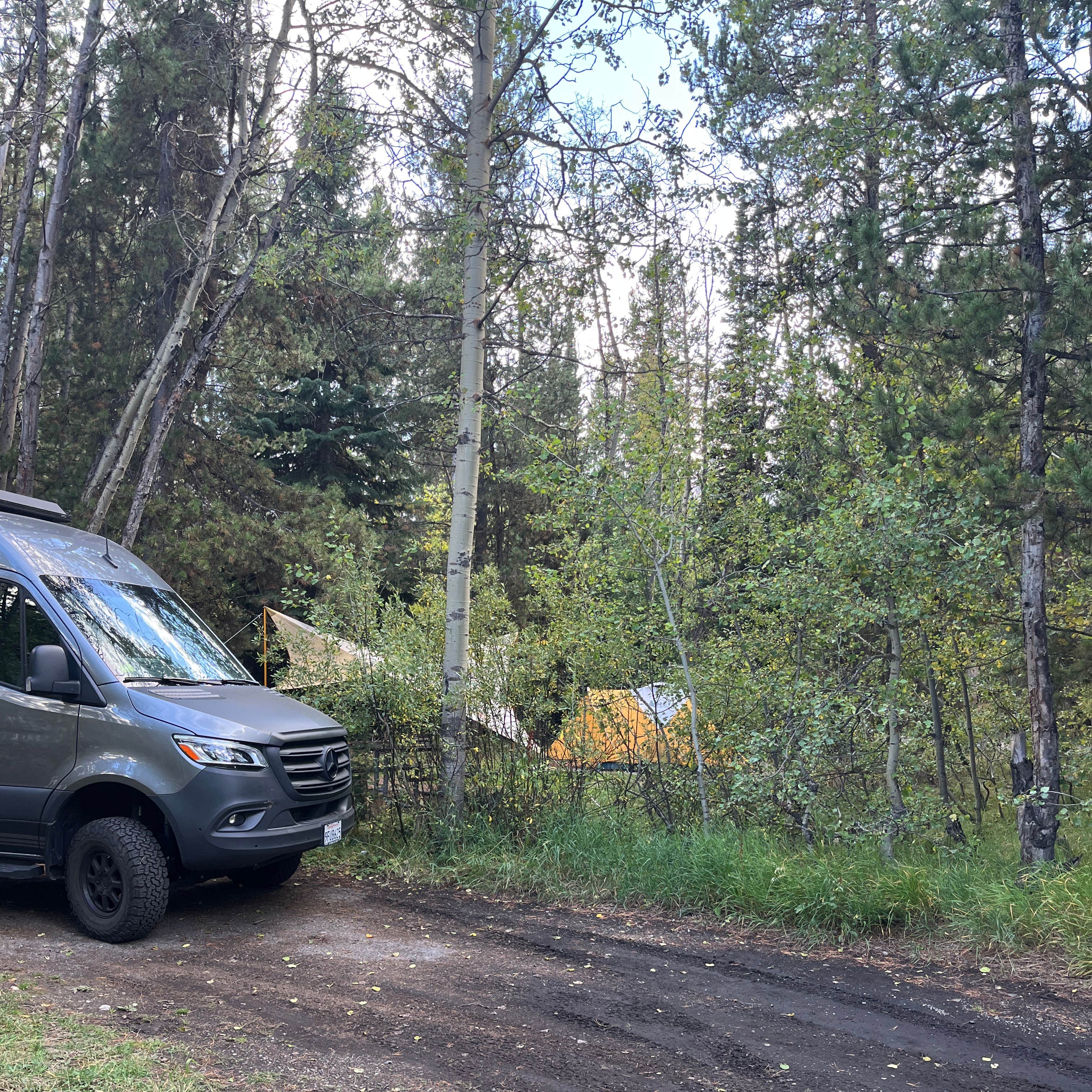 Colter Bay Campground at Colter Bay Village - Grand Teton National Park ...