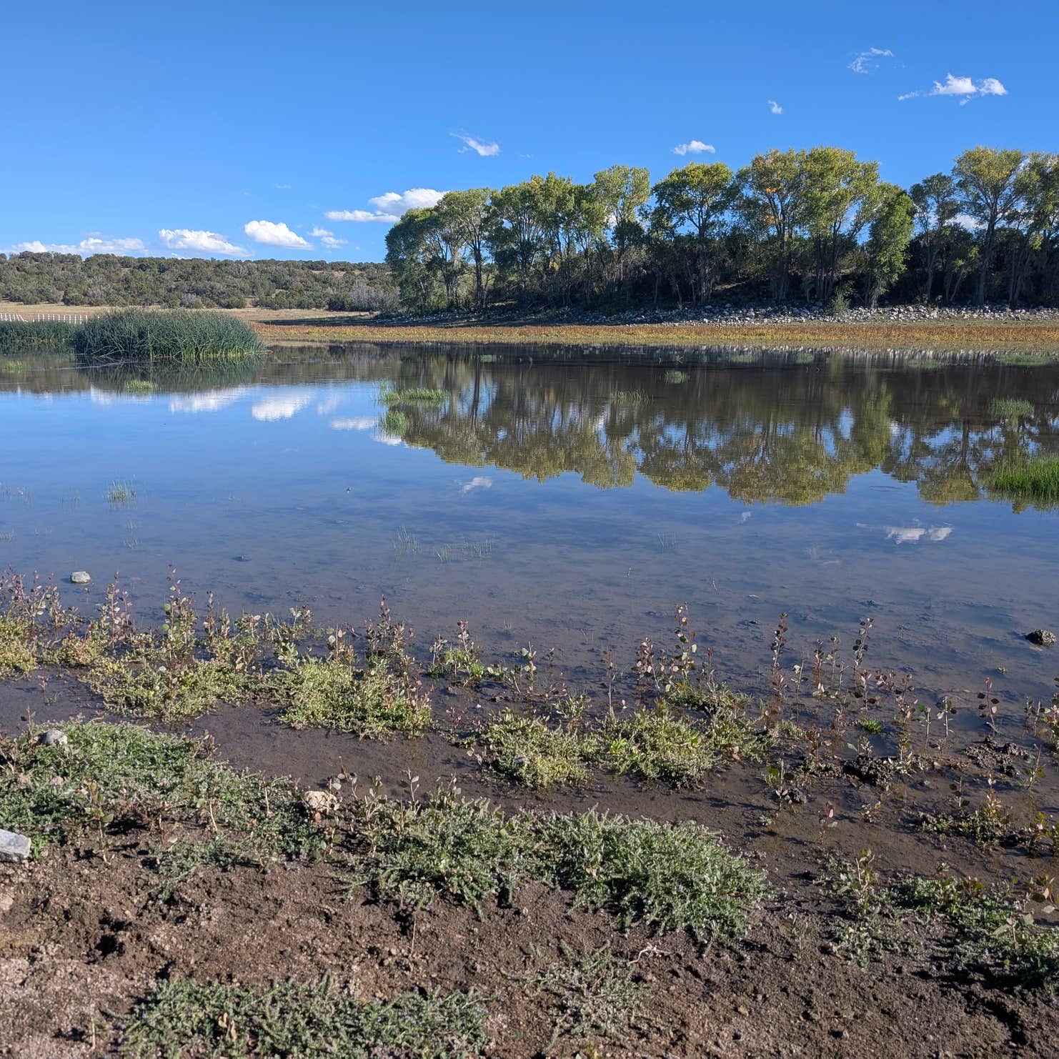 Concho Lake Recreation Area Camping | Vernon, Arizona