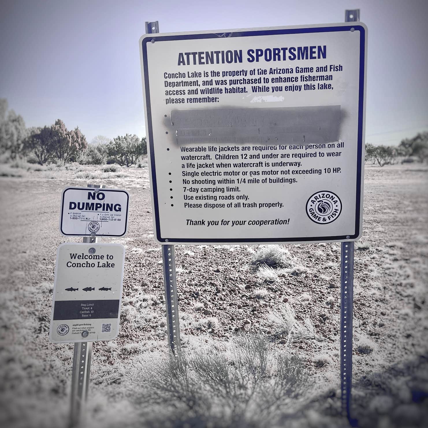 Concho lake Camping | Vernon, Arizona