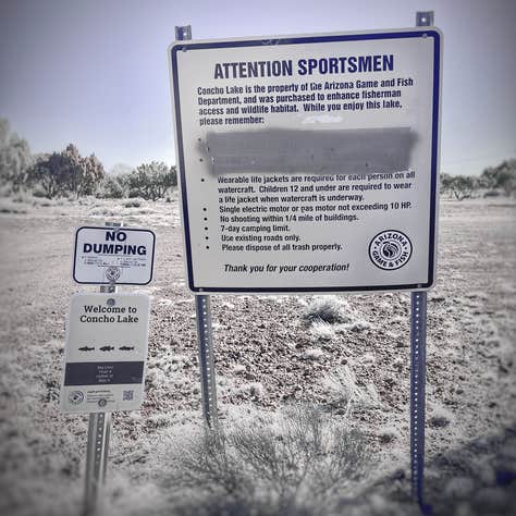 Concho lake Camping | Vernon, Arizona