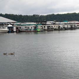 Conley Bottom Resort Campground | Lake Cumberland, Kentucky