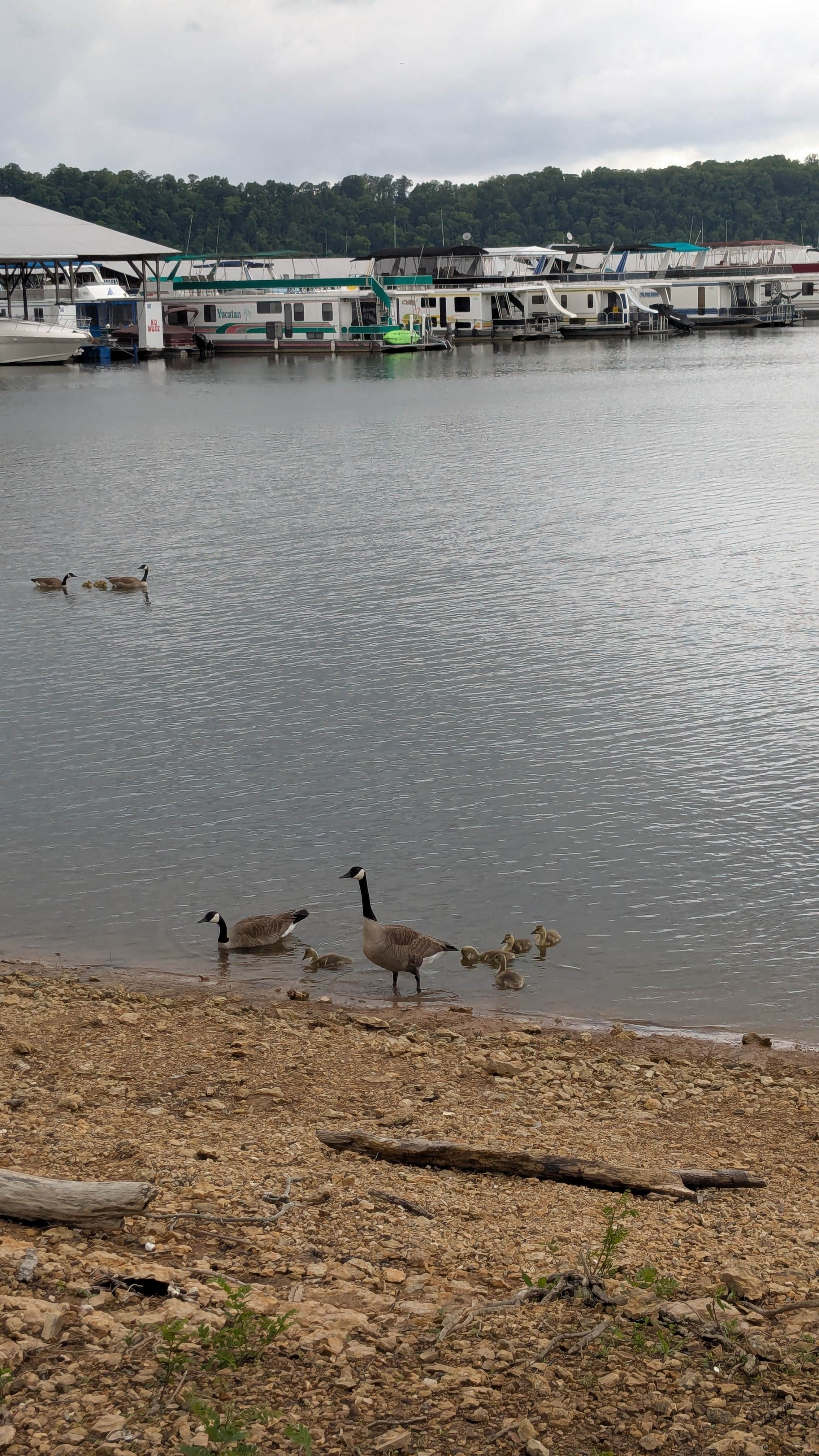 Conley Bottom Resort Campground | Lake Cumberland, Kentucky