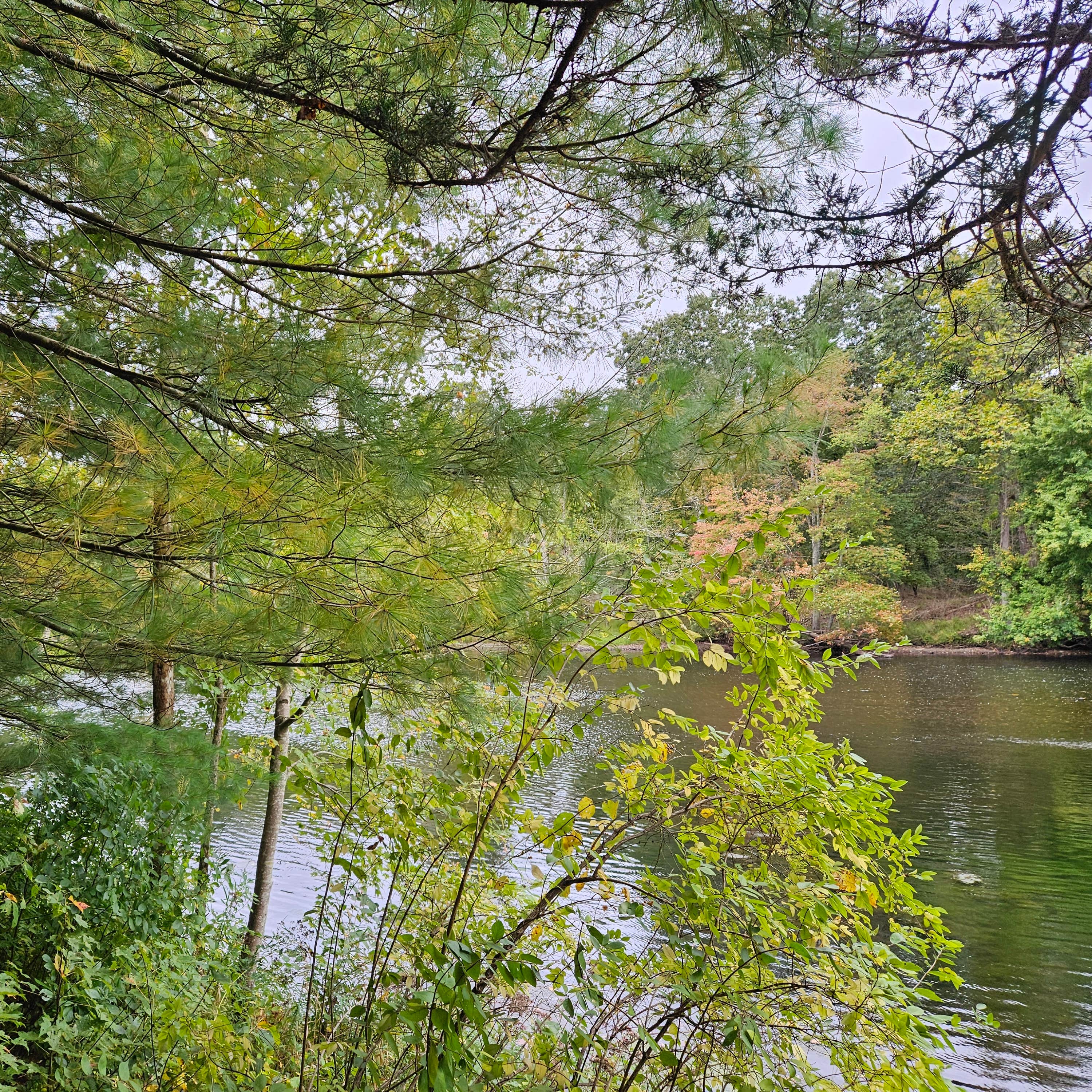 Salt Rock Campground | Hanover, Connecticut