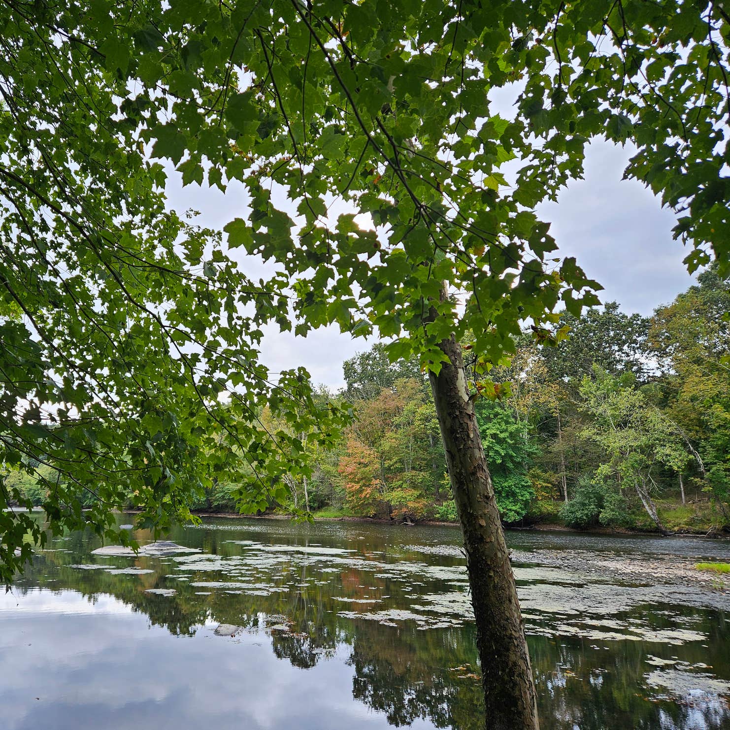 Salt Rock Campground | Hanover, Connecticut