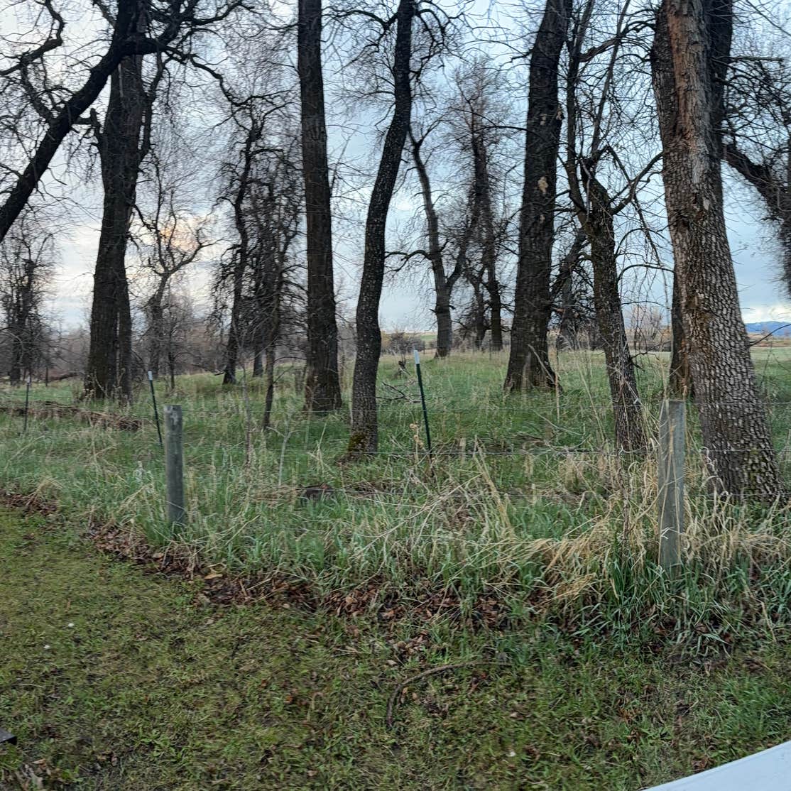 Connor Battlefield State Historic Site Camping | Dayton, Wyoming