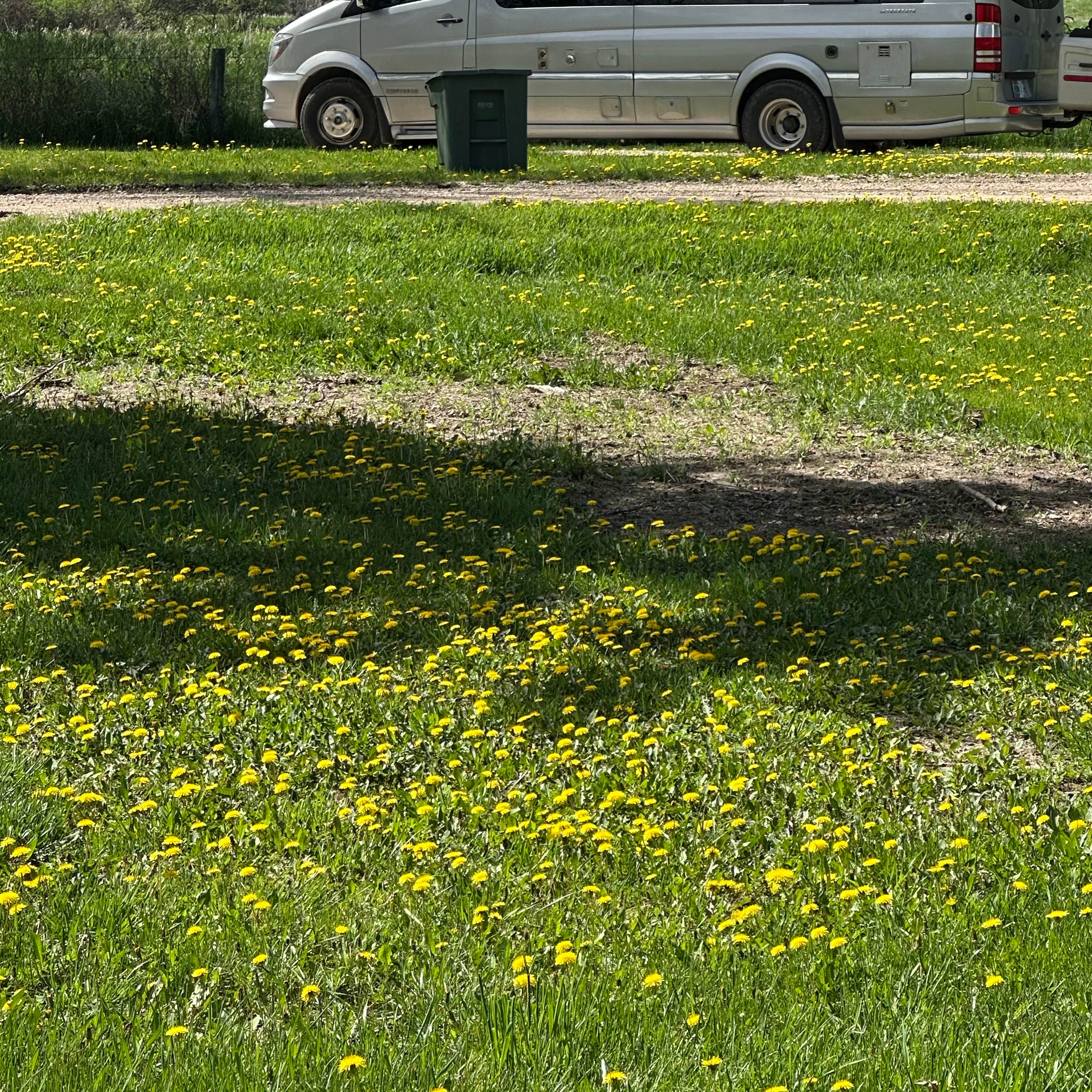 Connor Battlefield State Historic Site Camping | Dayton, Wyoming