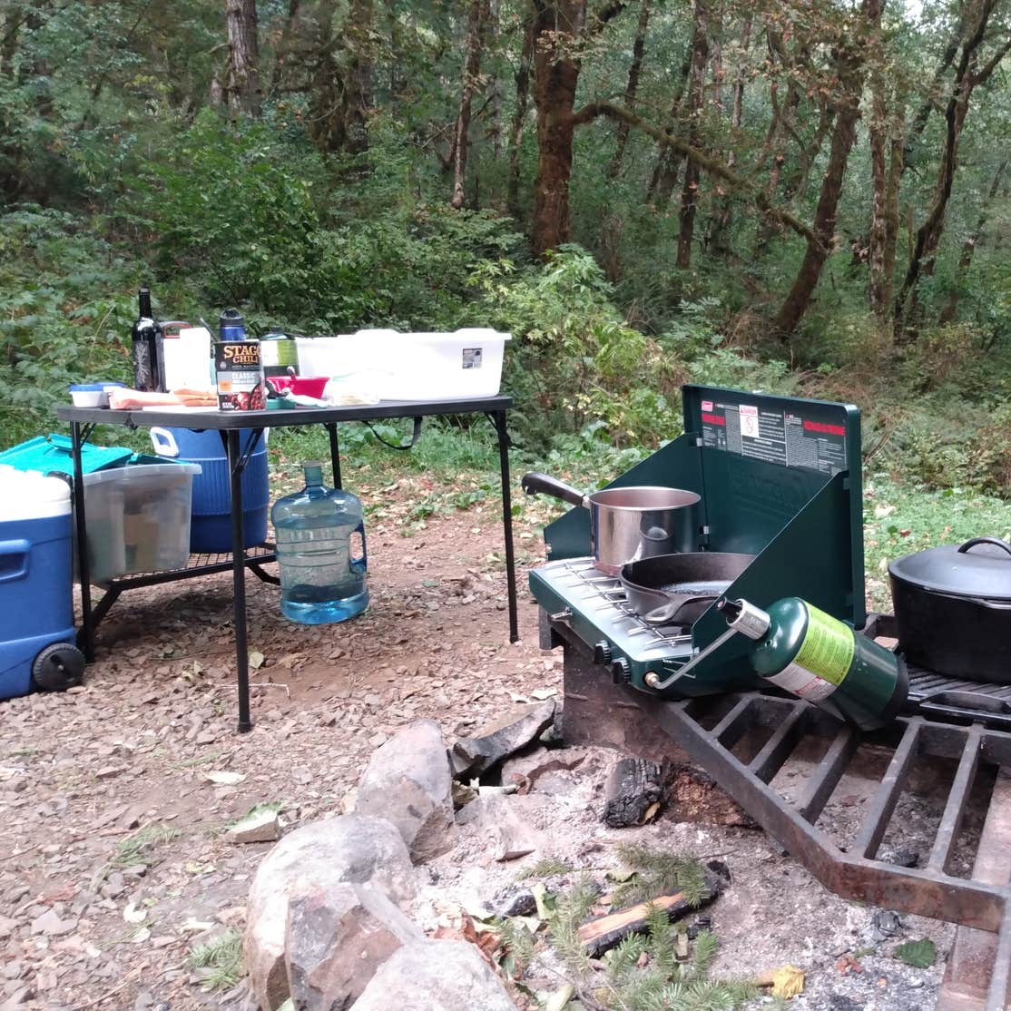 Cook Creek Camping | Tillamook State Forest, Oregon