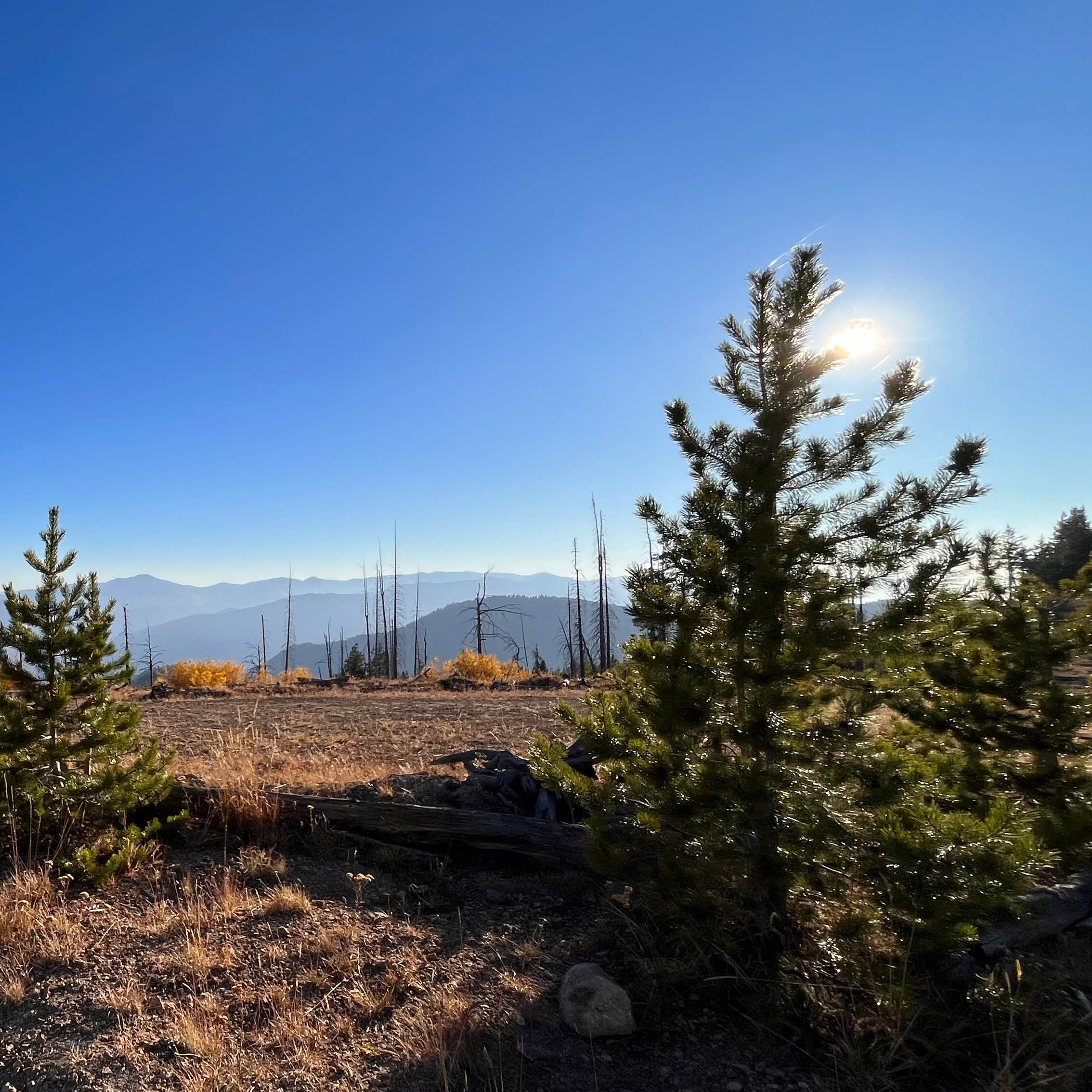 Cooper Mnt Rd Dispersed Camping | Methow, Washington