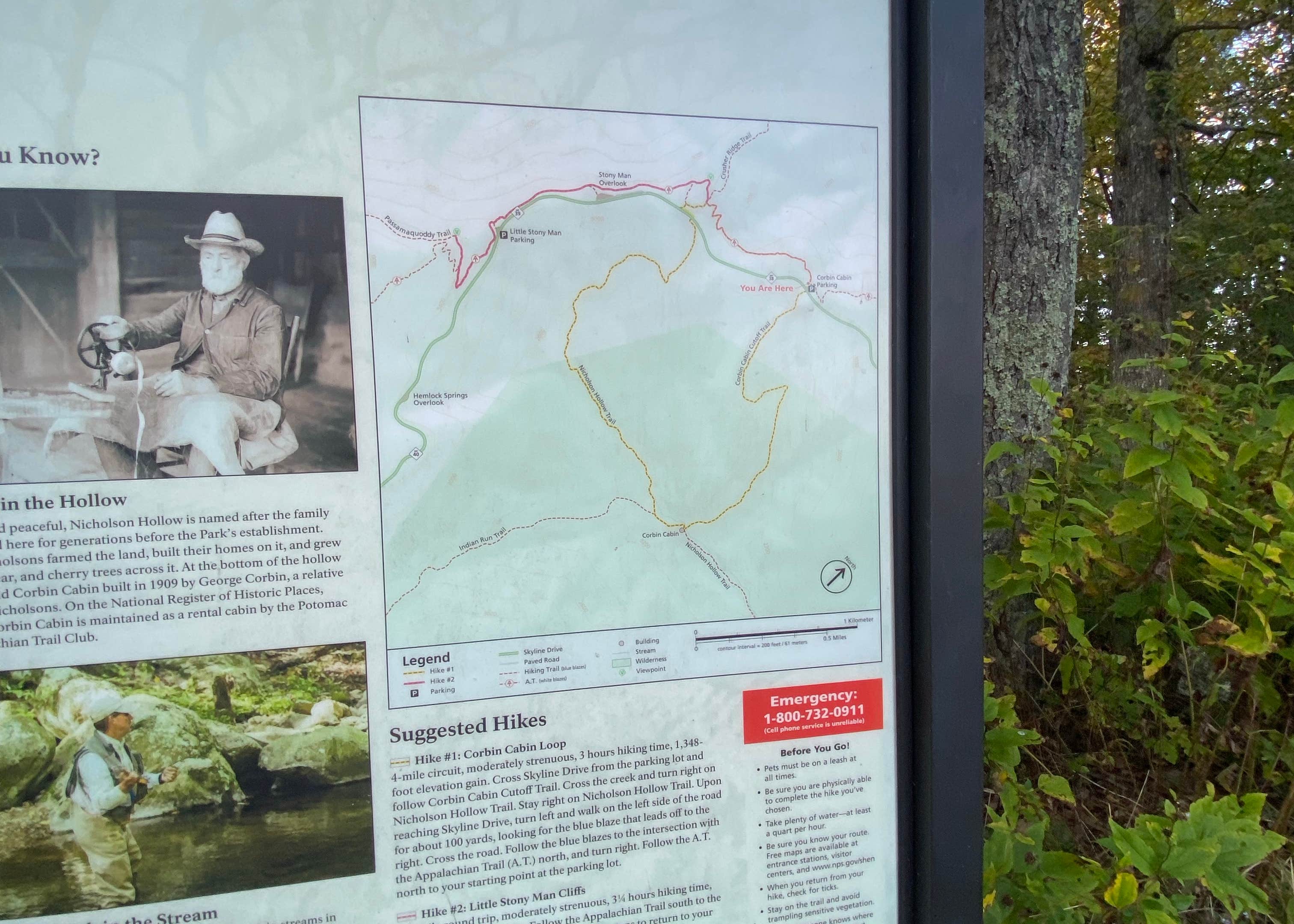 Corbin Cabin Camping | The Dyrt