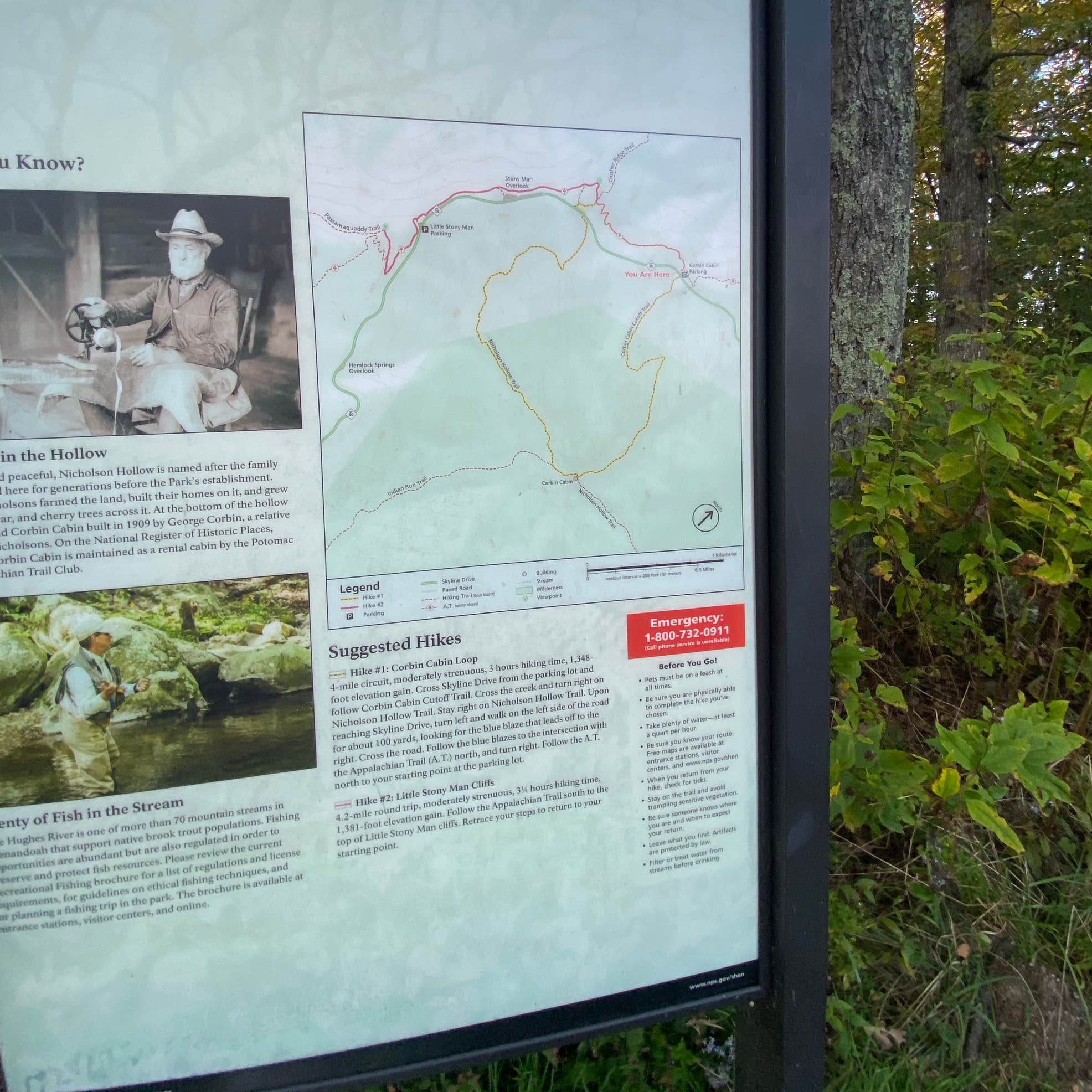 Corbin Cabin | Etlan, Virginia